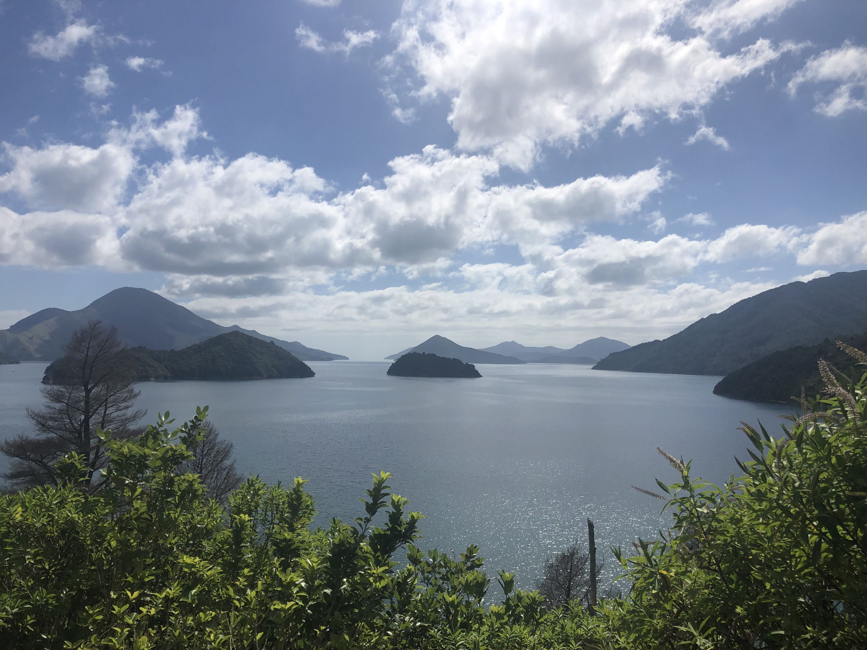 Archer Track, Marlborough - Trails Photo Gallery - Wild Things