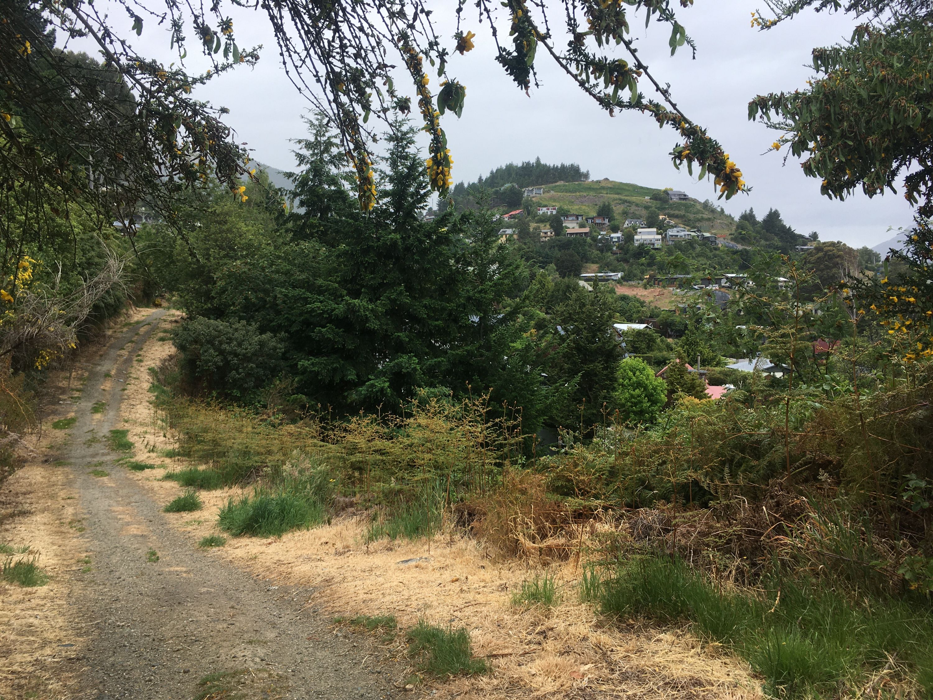 Arawata Track, Otago - Trails Photo Gallery - Wild Things