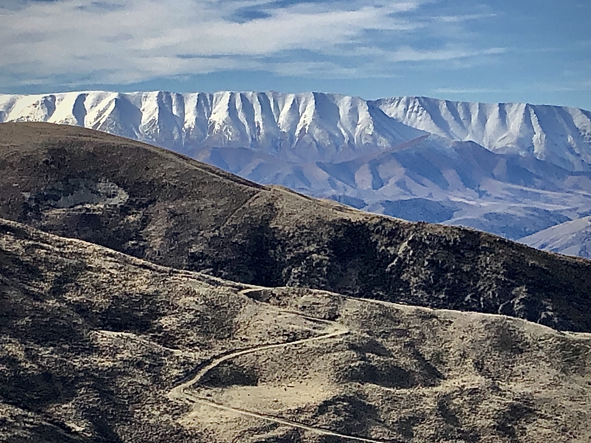 Long Gully Loop, Otago - Trails Photo Gallery - Wild Things