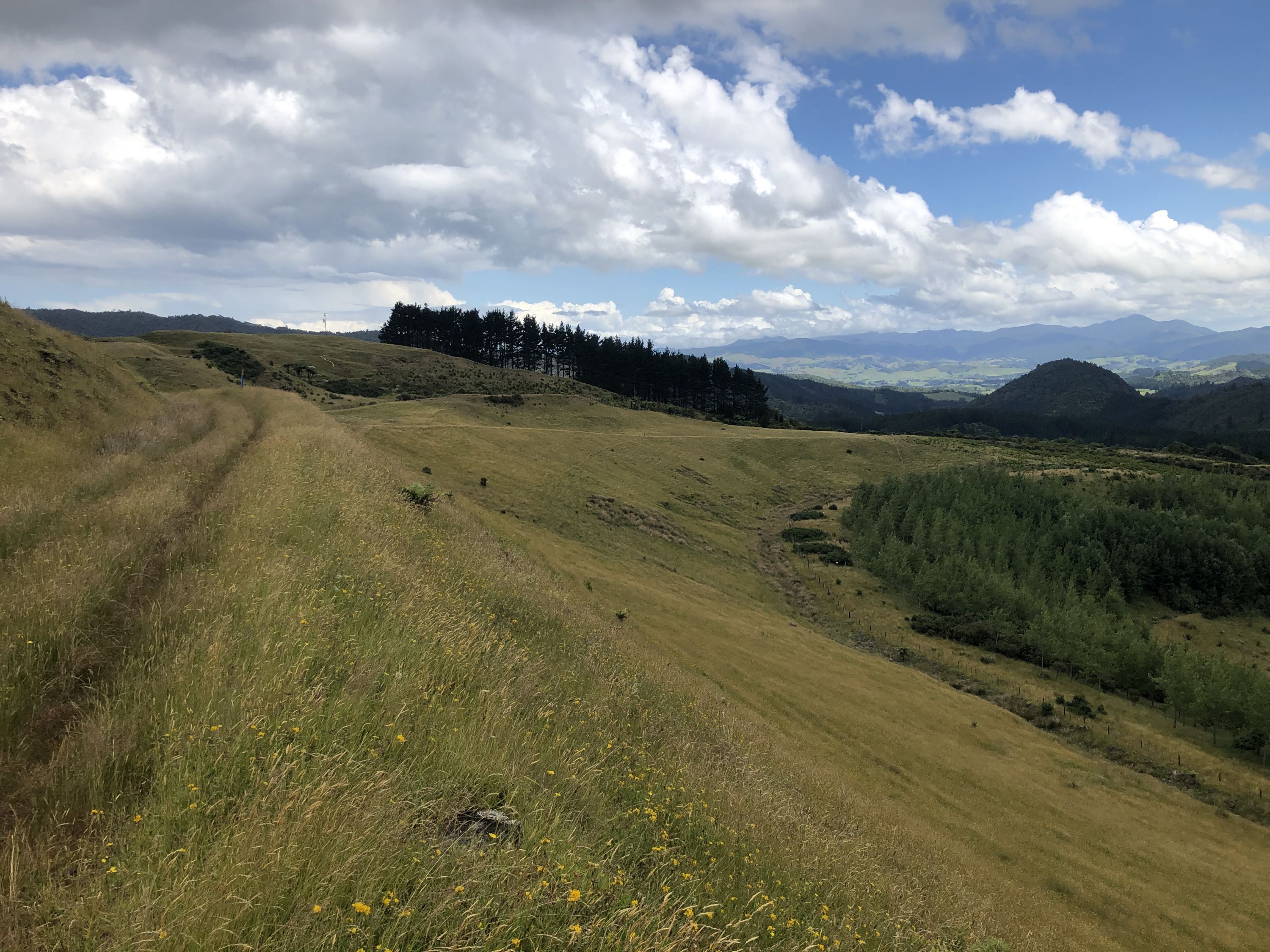 Maratoto To Golden Cross, Waikato - Trails Photo Gallery - Wild Things