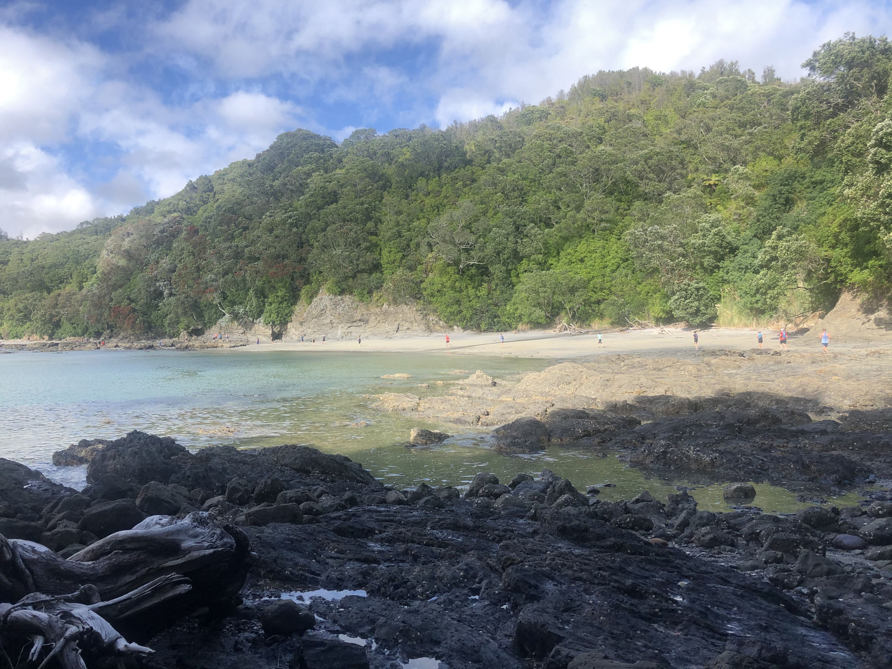 Nga Tapuwae o Toi Trail, Bay of Plenty - Trails Photo Gallery - Wild Things