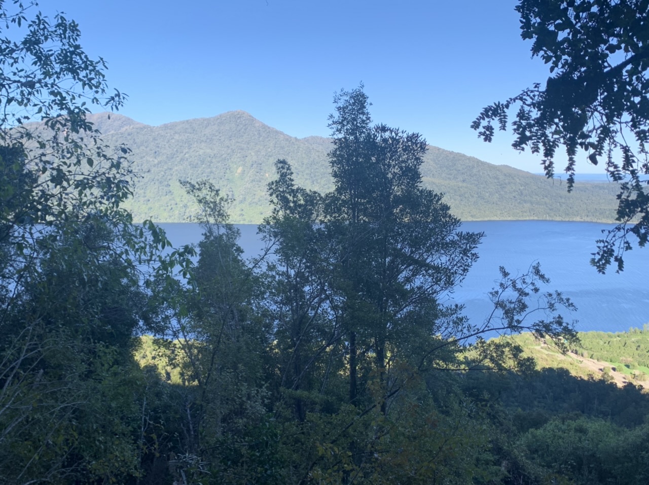 Mt Tuhua, West Coast - Trails Photo Gallery - Wild Things