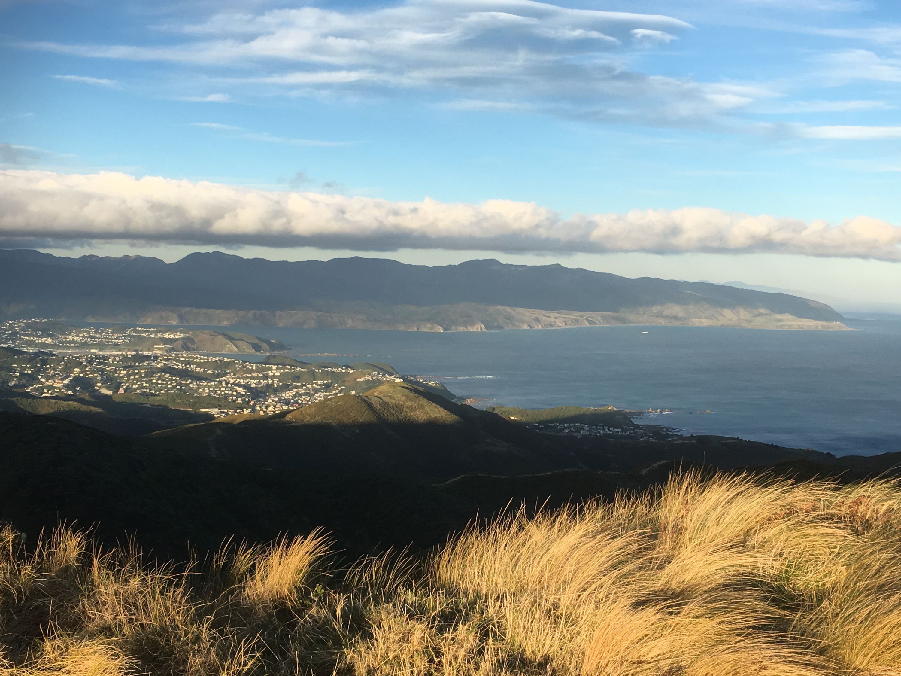 Aro Valley - Red Rocks Thigh Buster, Wellington - Trails Photo Gallery ...