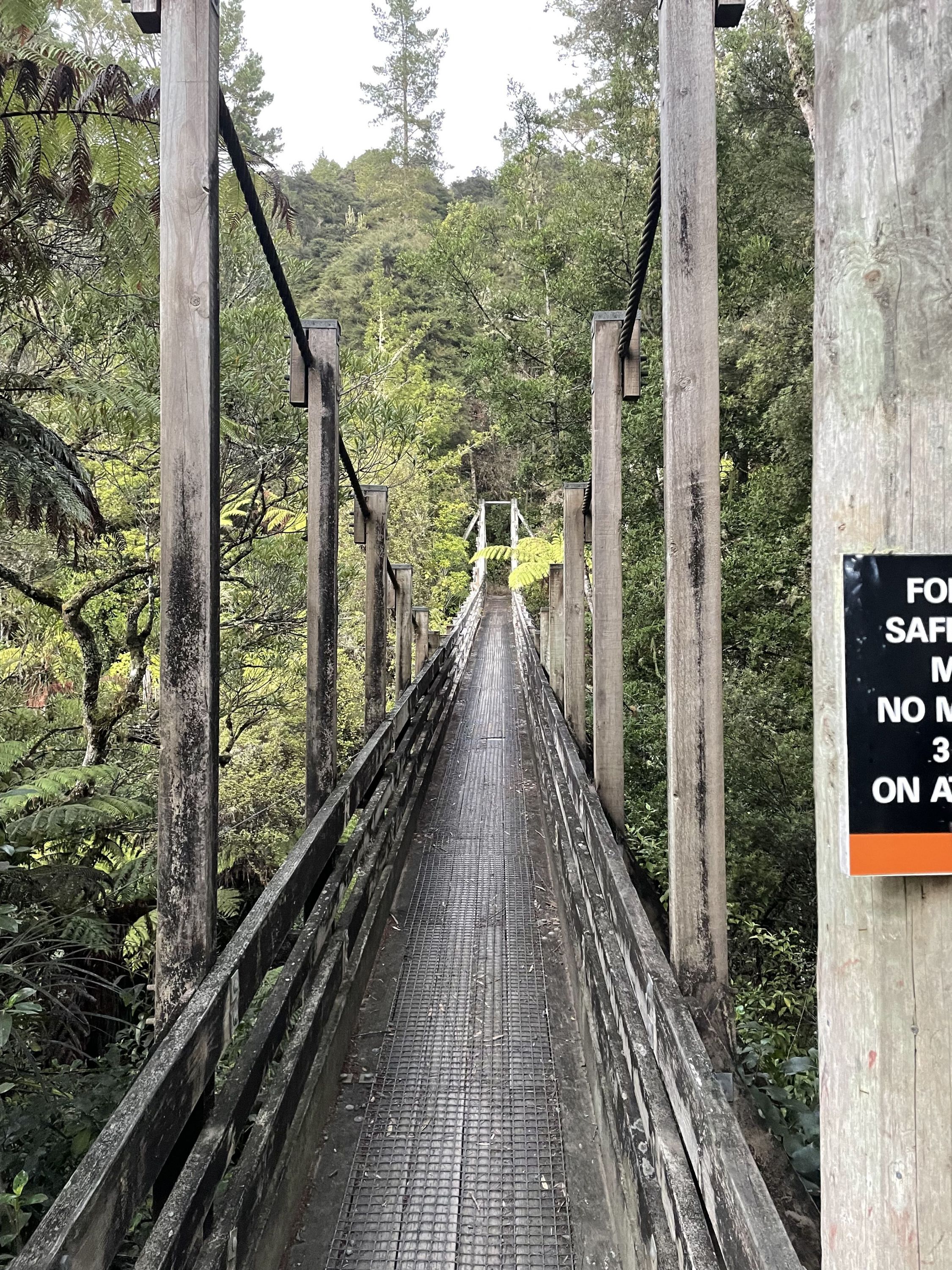 Wairoa Suspension Loop, Auckland - Trails Photo Gallery - Wild Things