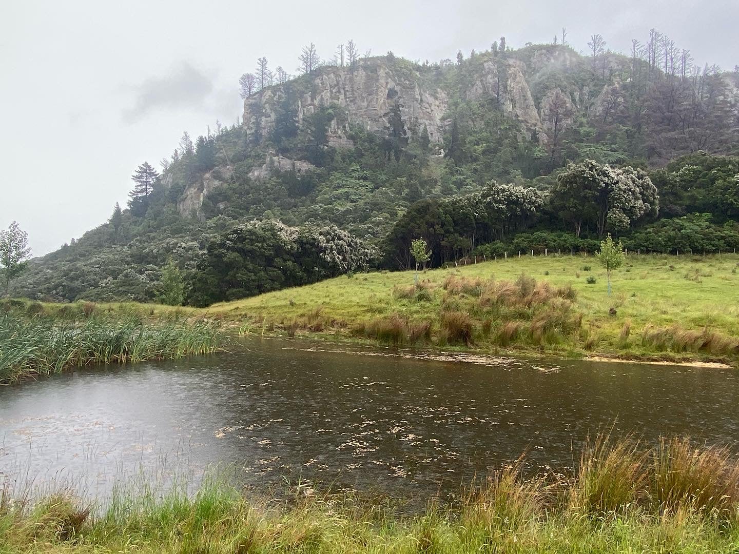 Tinui ANZAC Walkway, Wellington - Trails Photo Gallery - Wild Things