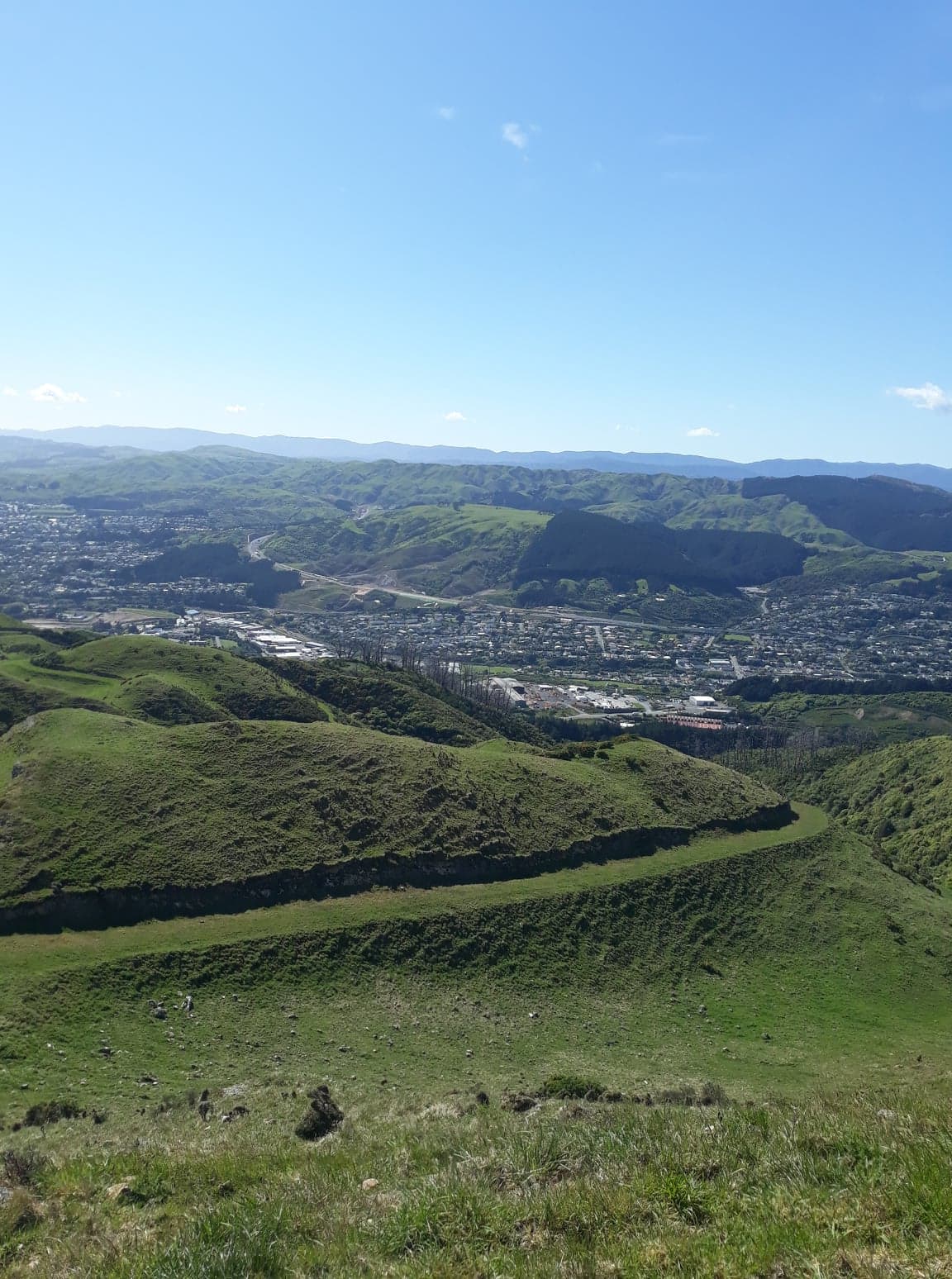 Colonial Knob Track, Wellington - Trails Photo Gallery - Wild Things