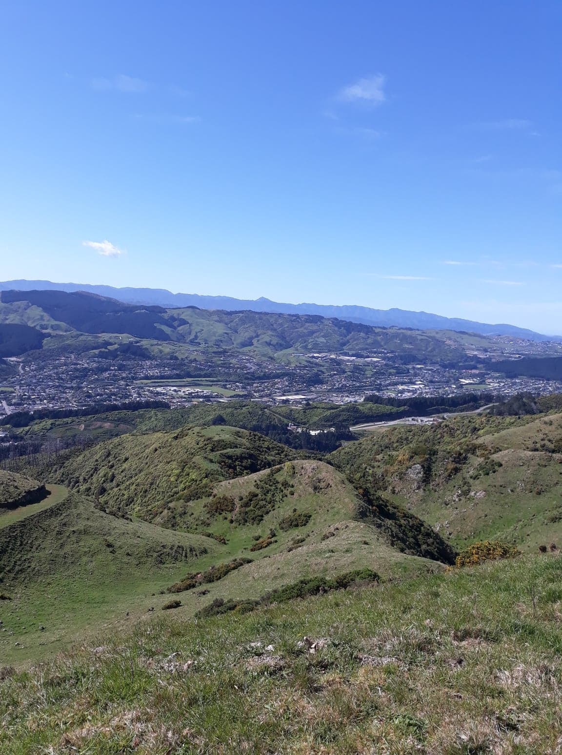 Colonial Knob Track, Wellington - Trails Photo Gallery - Wild Things