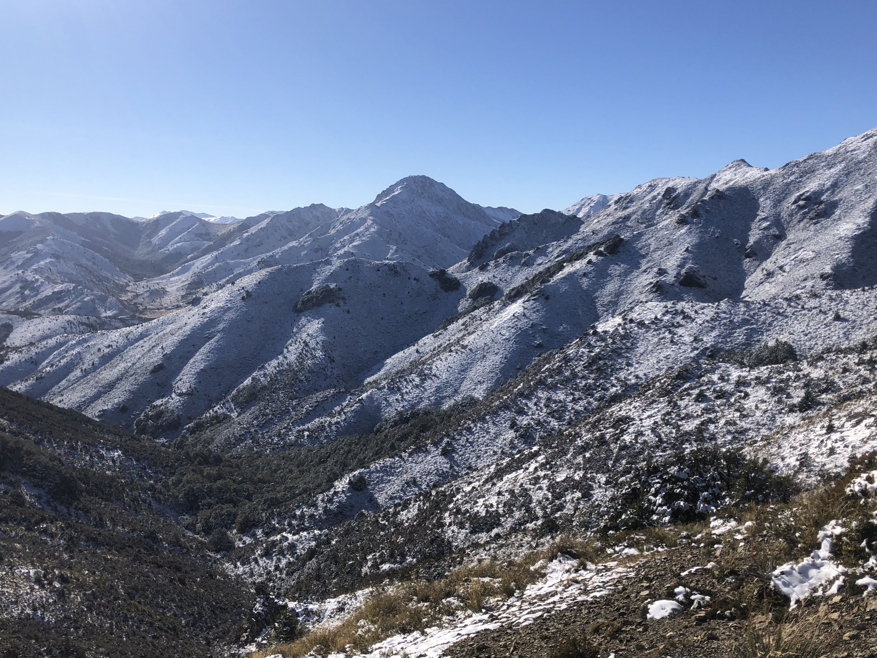 Mt Isobel Long Loop, Canterbury - Trails Photo Gallery - Wild Things