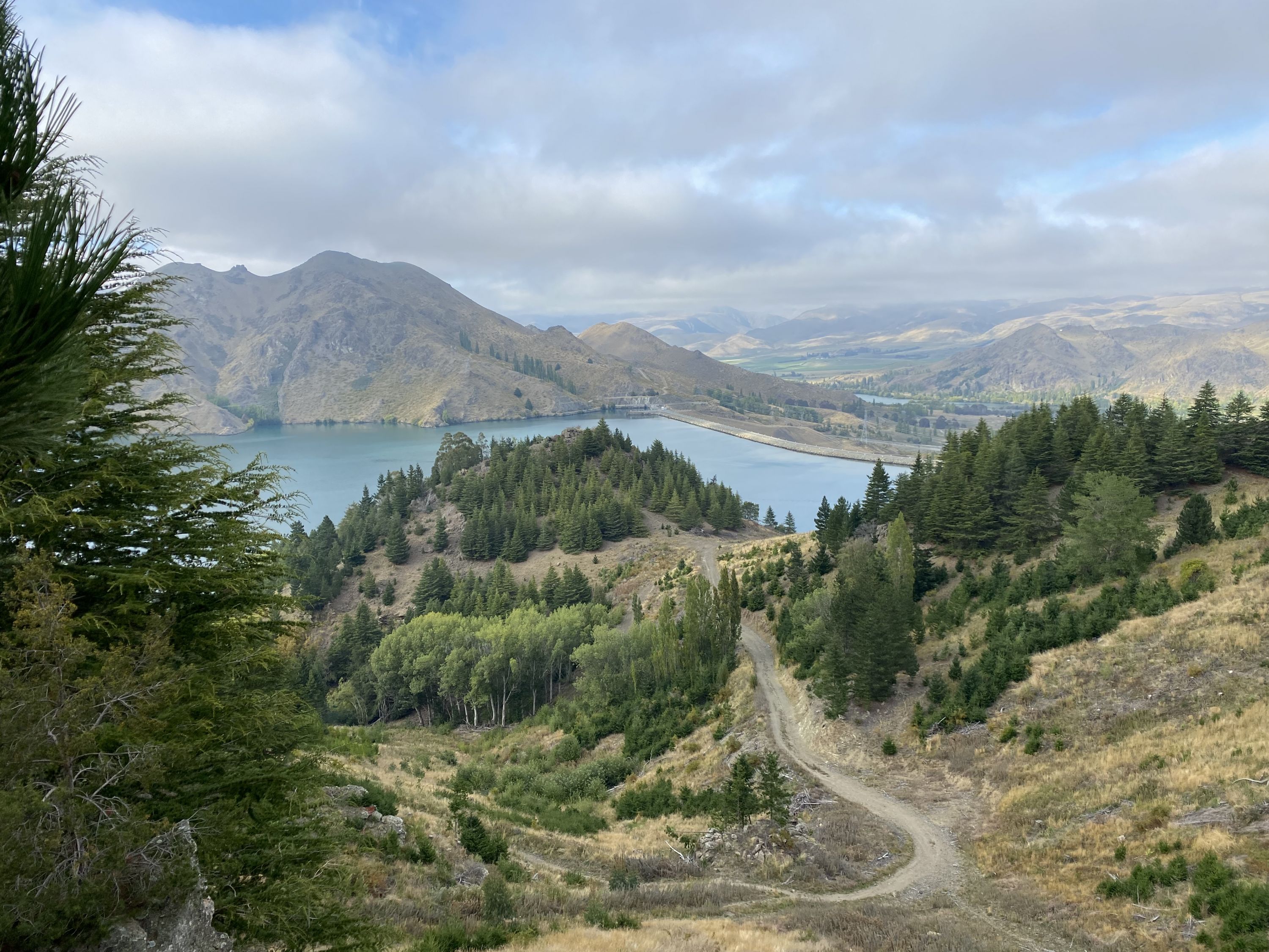 Benmore Peninsula Track , Otago - Trails Photo Gallery - Wild Things