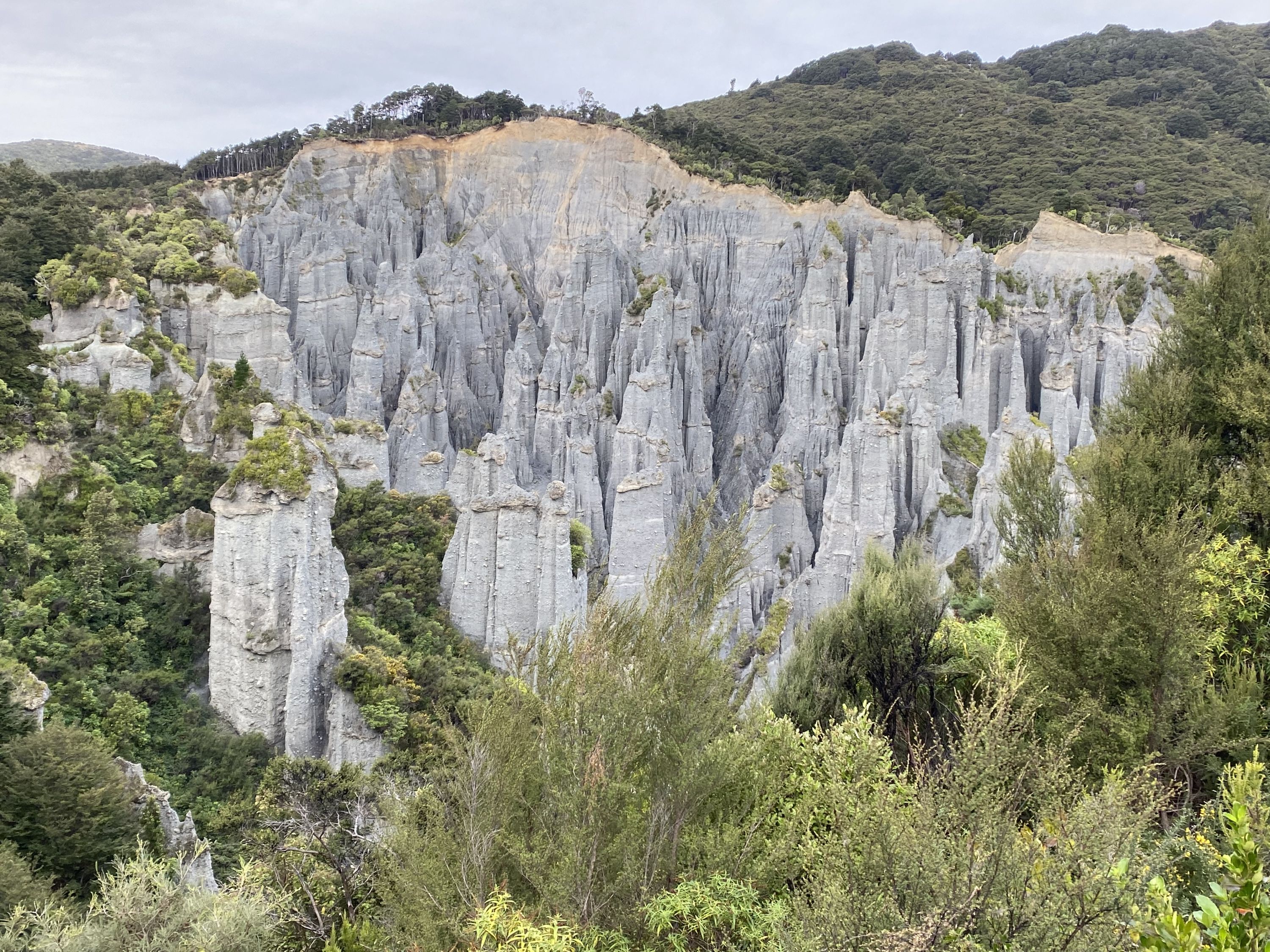Putangirua Pinnacles, Wellington - Trails Photo Gallery - Wild Things