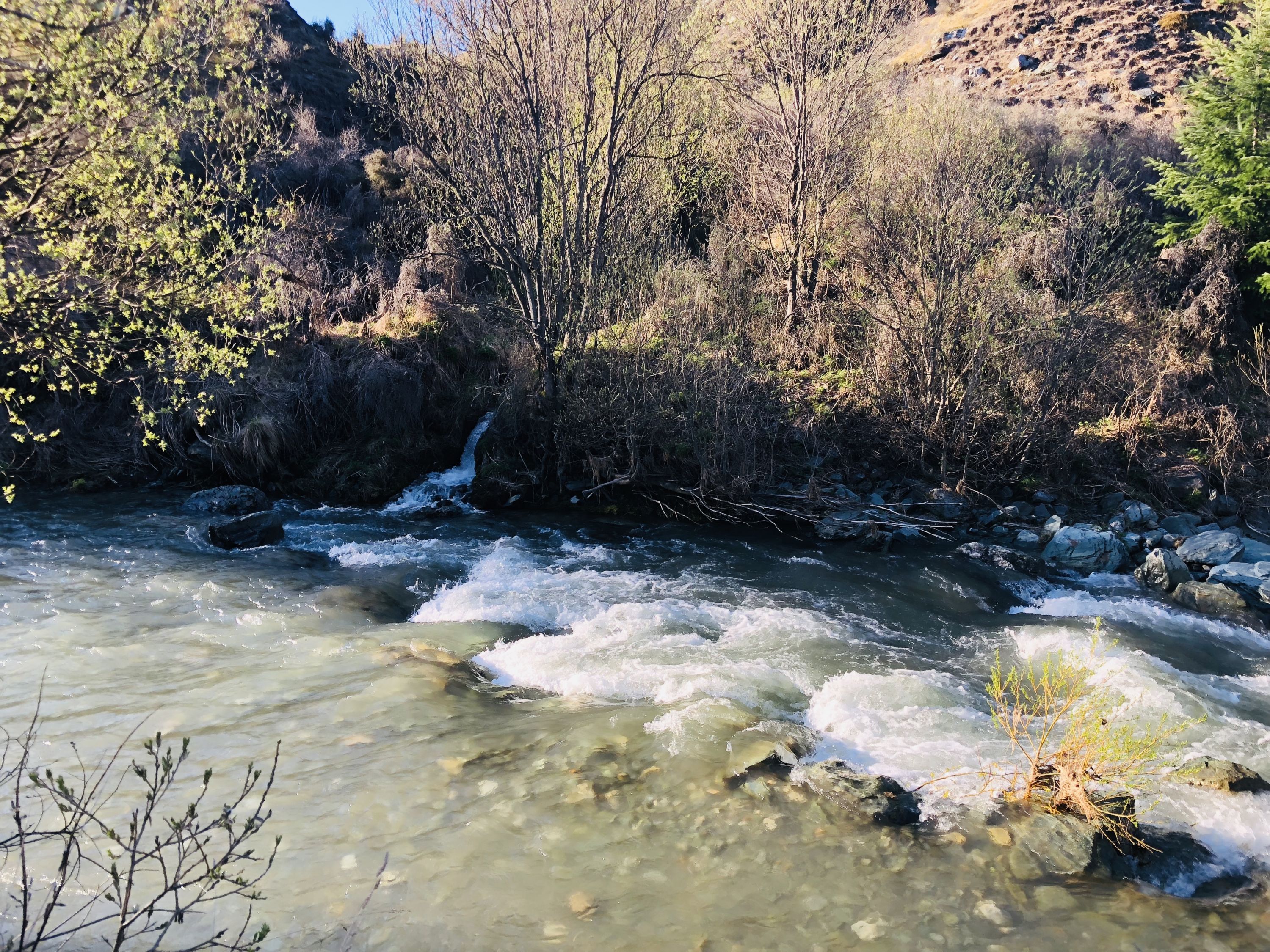 Macetown, Otago - Trails Photo Gallery - Wild Things