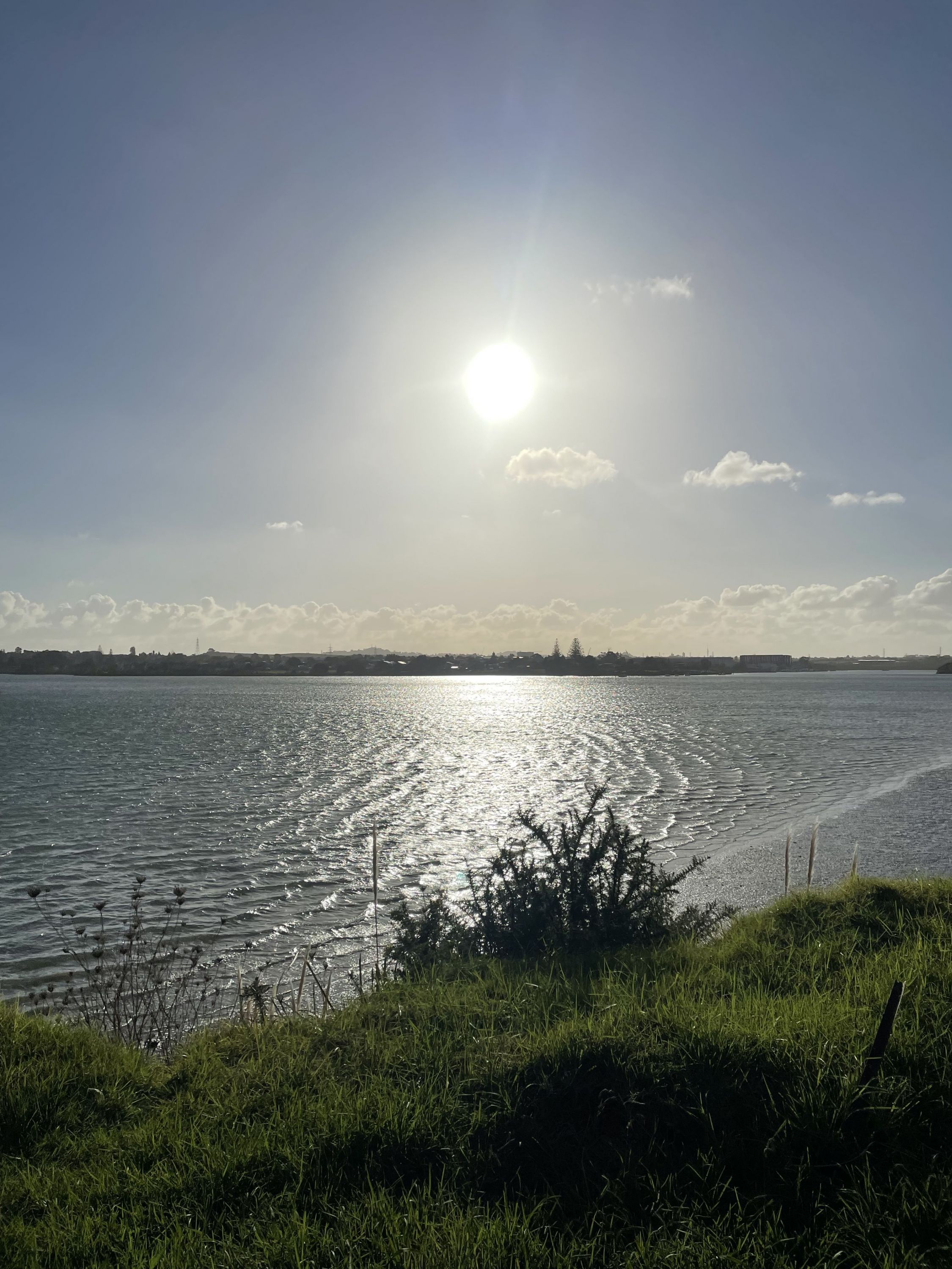 Highbrook Business Park, Auckland - Trails Photo Gallery - Wild Things