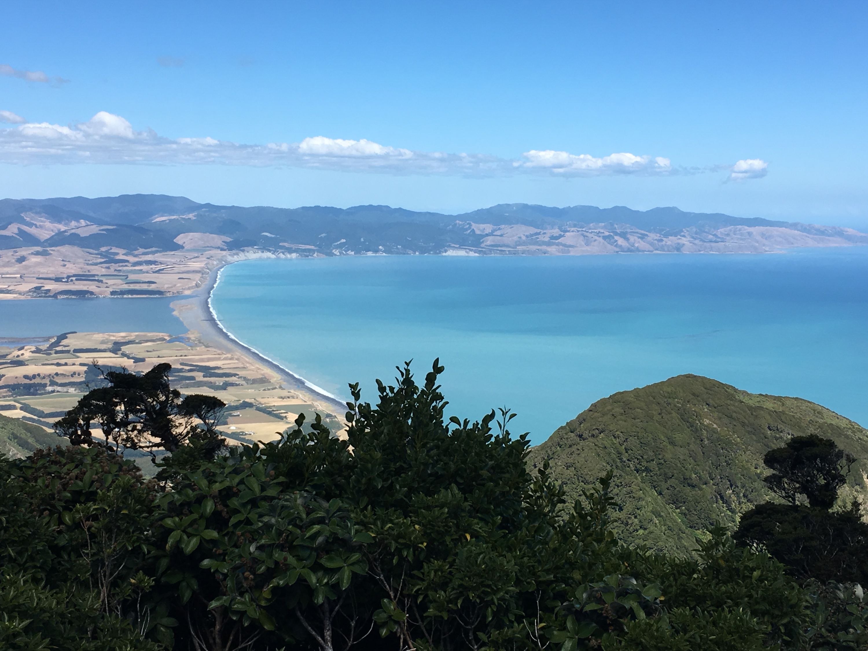 Mt Matthews, Wellington - Trails Photo Gallery - Wild Things