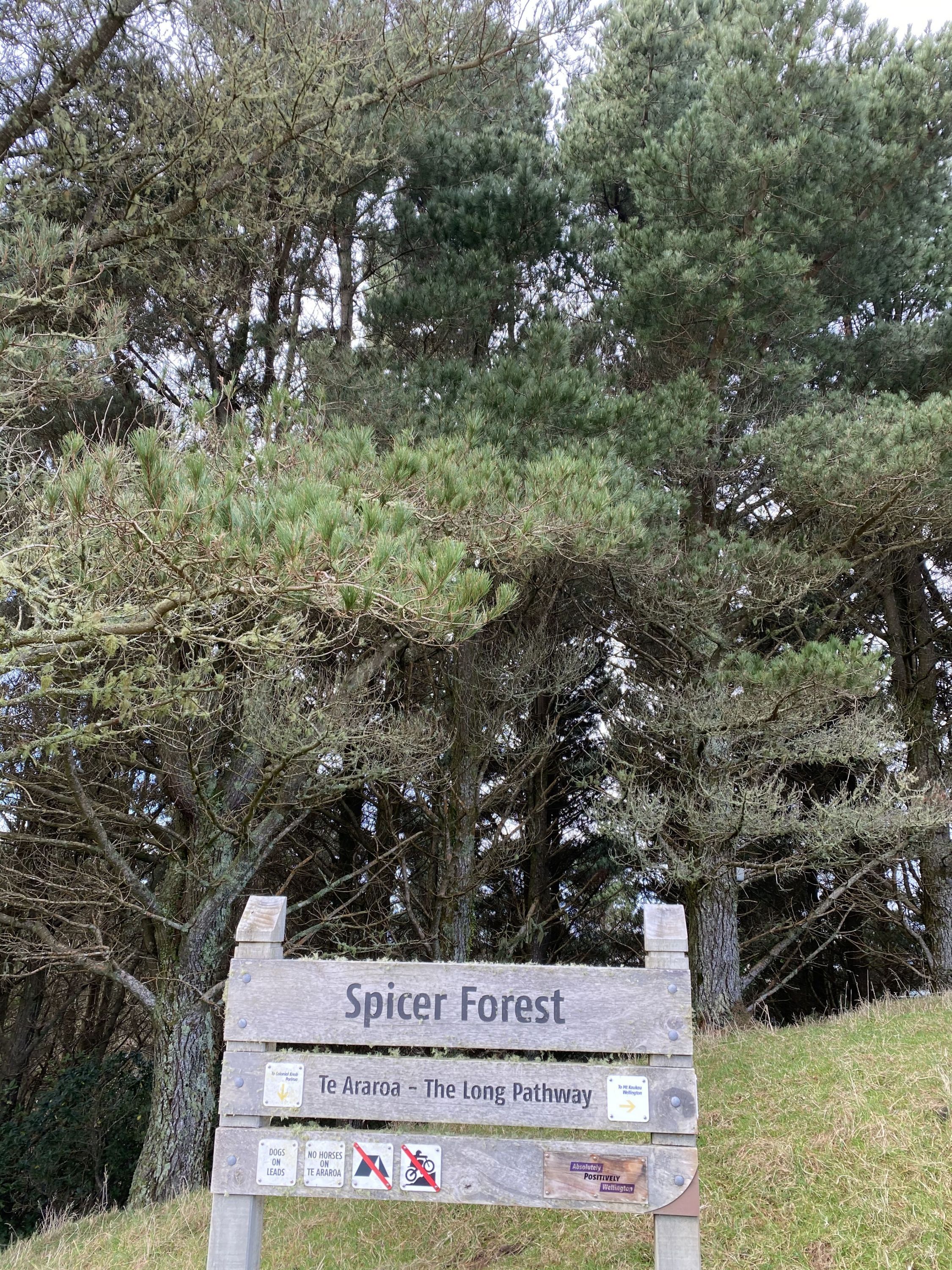 Colonial Knob - All the Hills, Wellington - Trails Photo Gallery - Wild ...