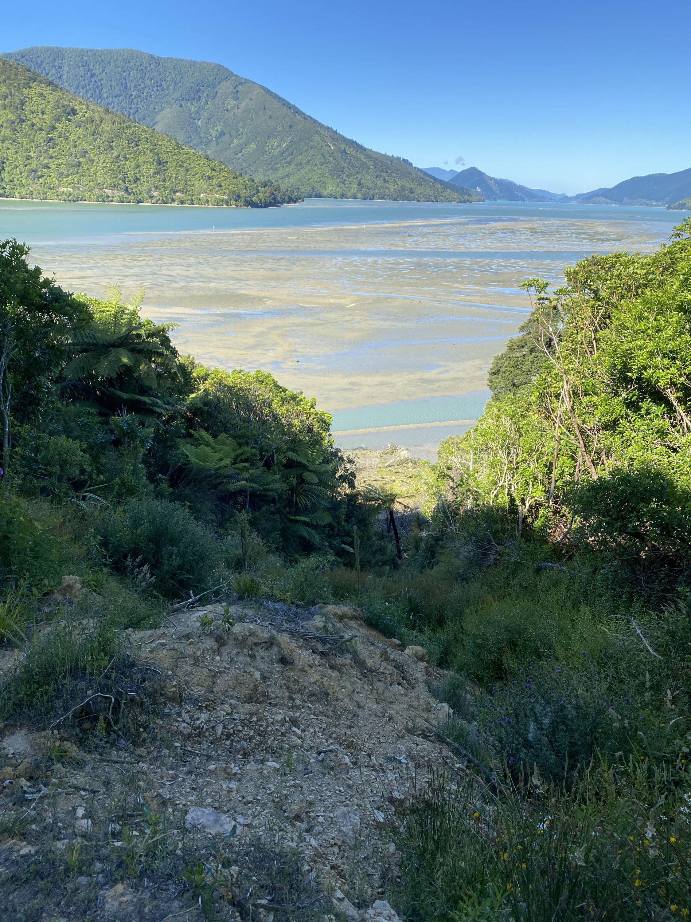 Cullen Point , Marlborough - Trails Photo Gallery - Wild Things