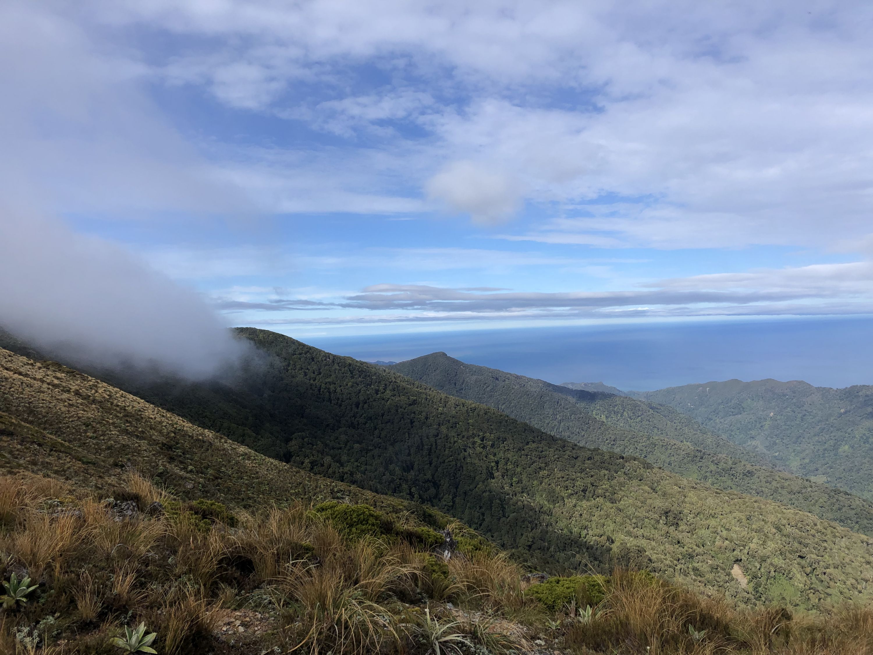 Mt Watson Croesus Loop, West Coast - Trails Photo Gallery - Wild Things