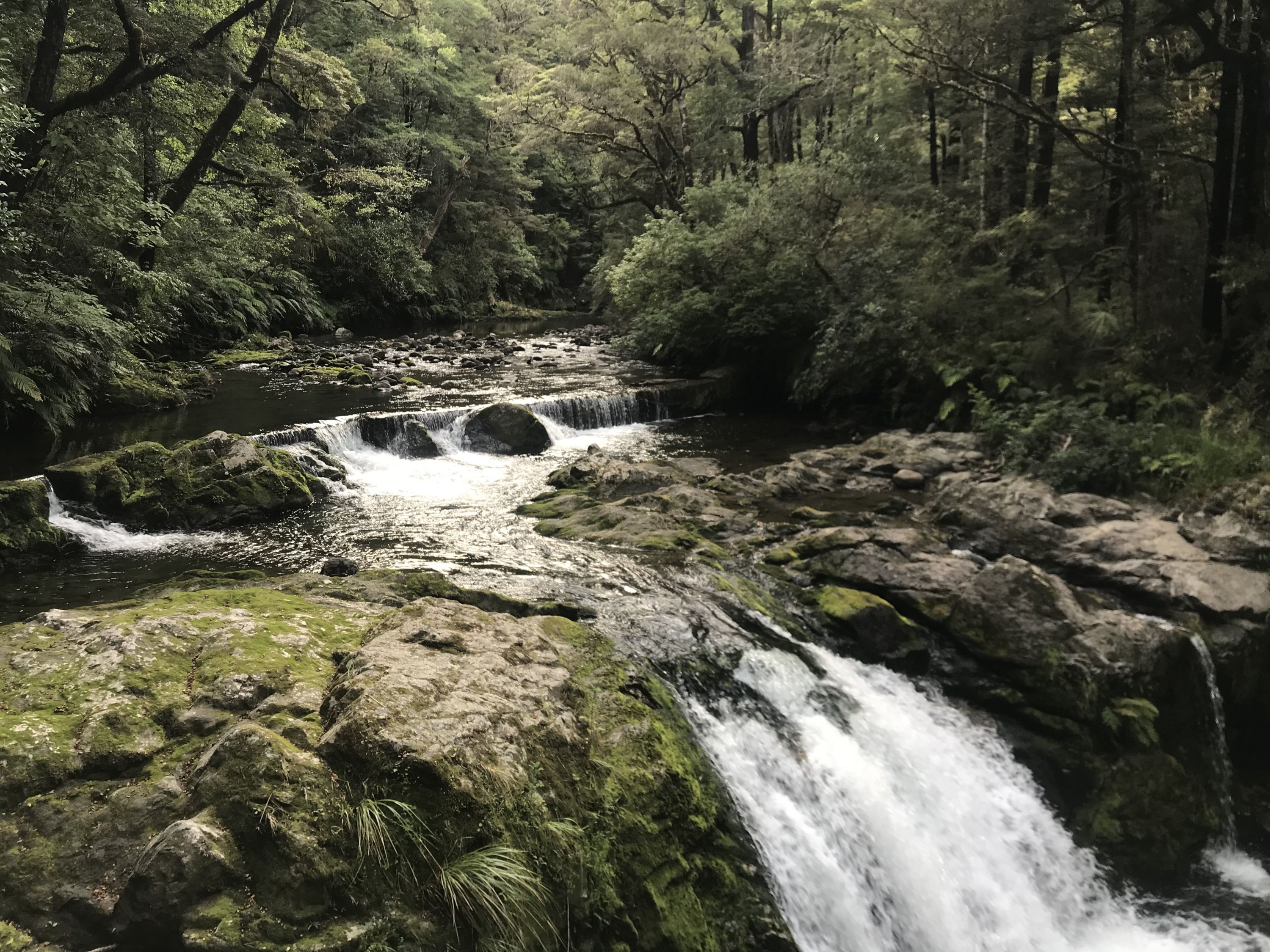 Six Mile - Matakitaki Walk, Murchison, Tasman - Trails Photo Gallery ...