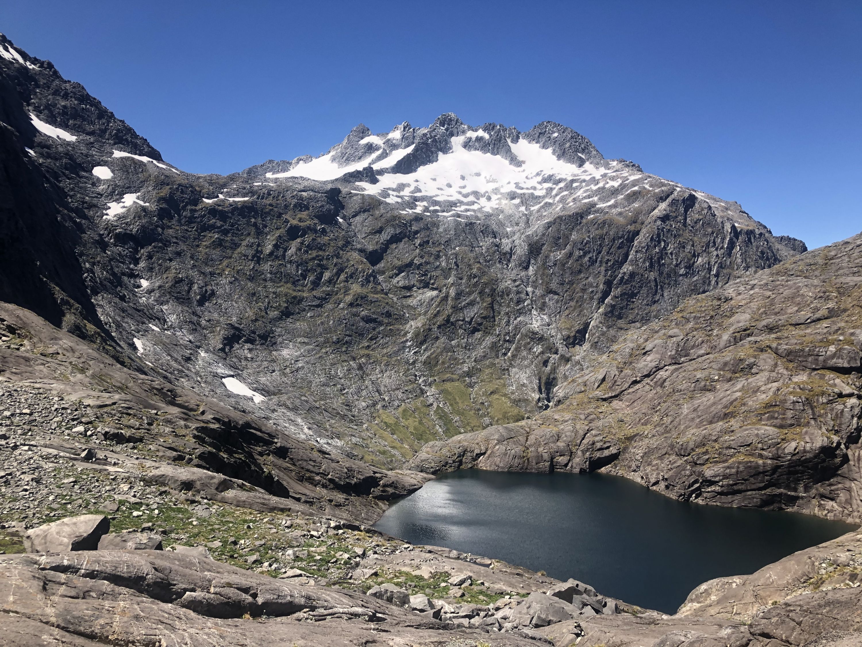 Gobsmacking Gertrude, Southland - Trails Photo Gallery - Wild Things