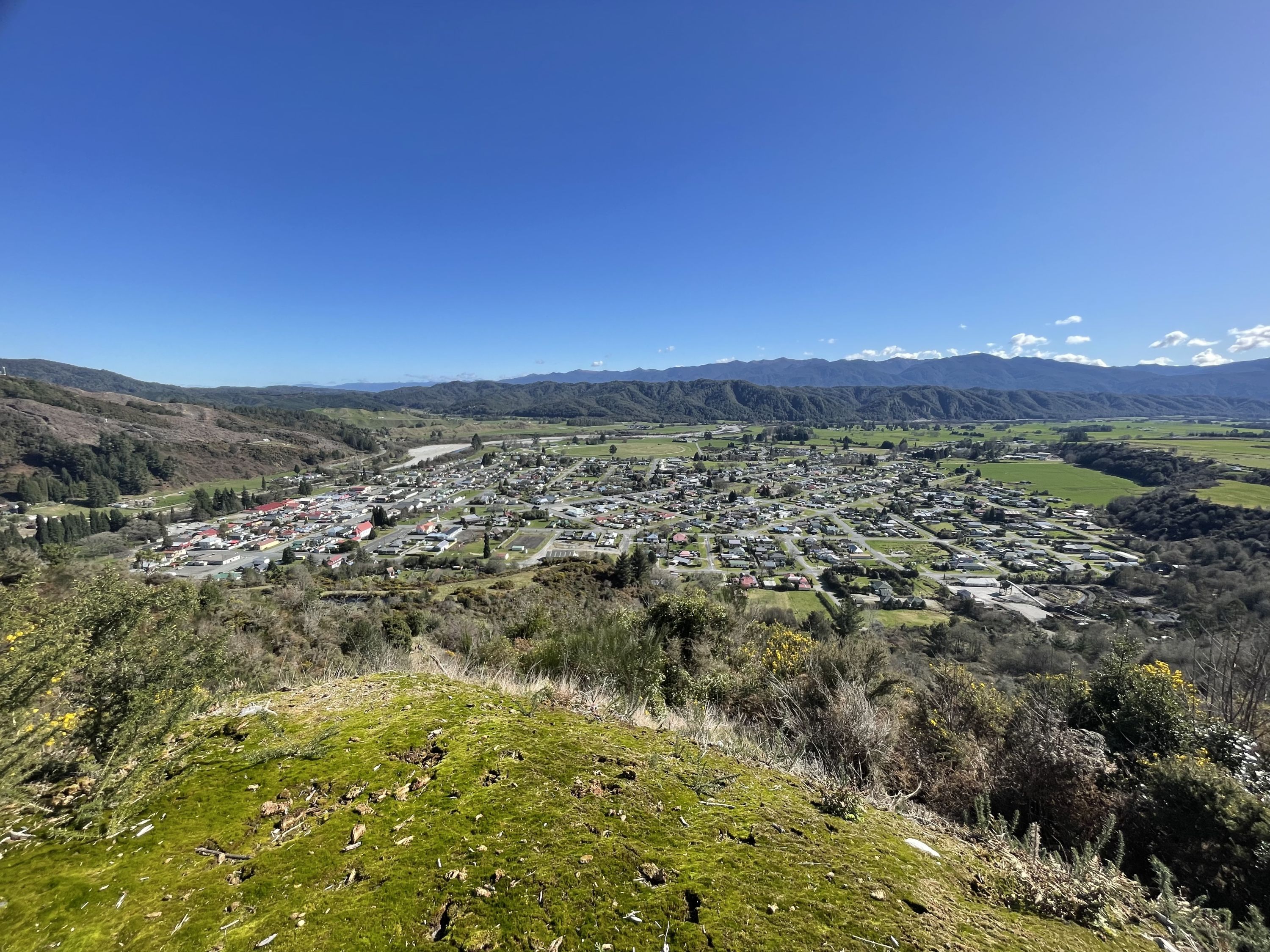 Murray Creek / Konini Track Loop, West Coast - Trails Photo Gallery ...