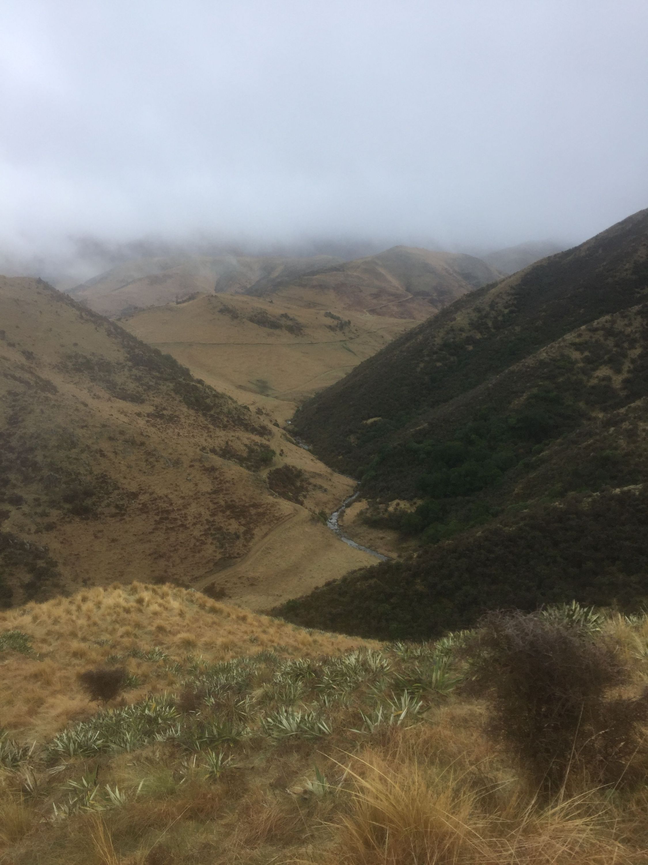 Mt Nimrod Easement Track, Canterbury - Trails Photo Gallery - Wild Things