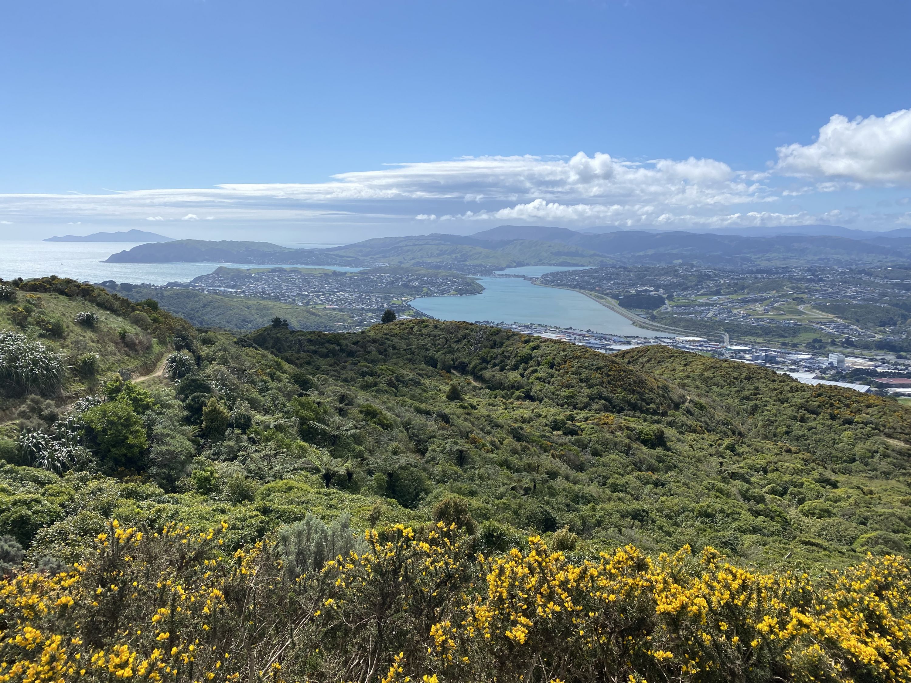 Colonial Knob Ultimate Stair Workout, Wellington - Trails Photo Gallery ...