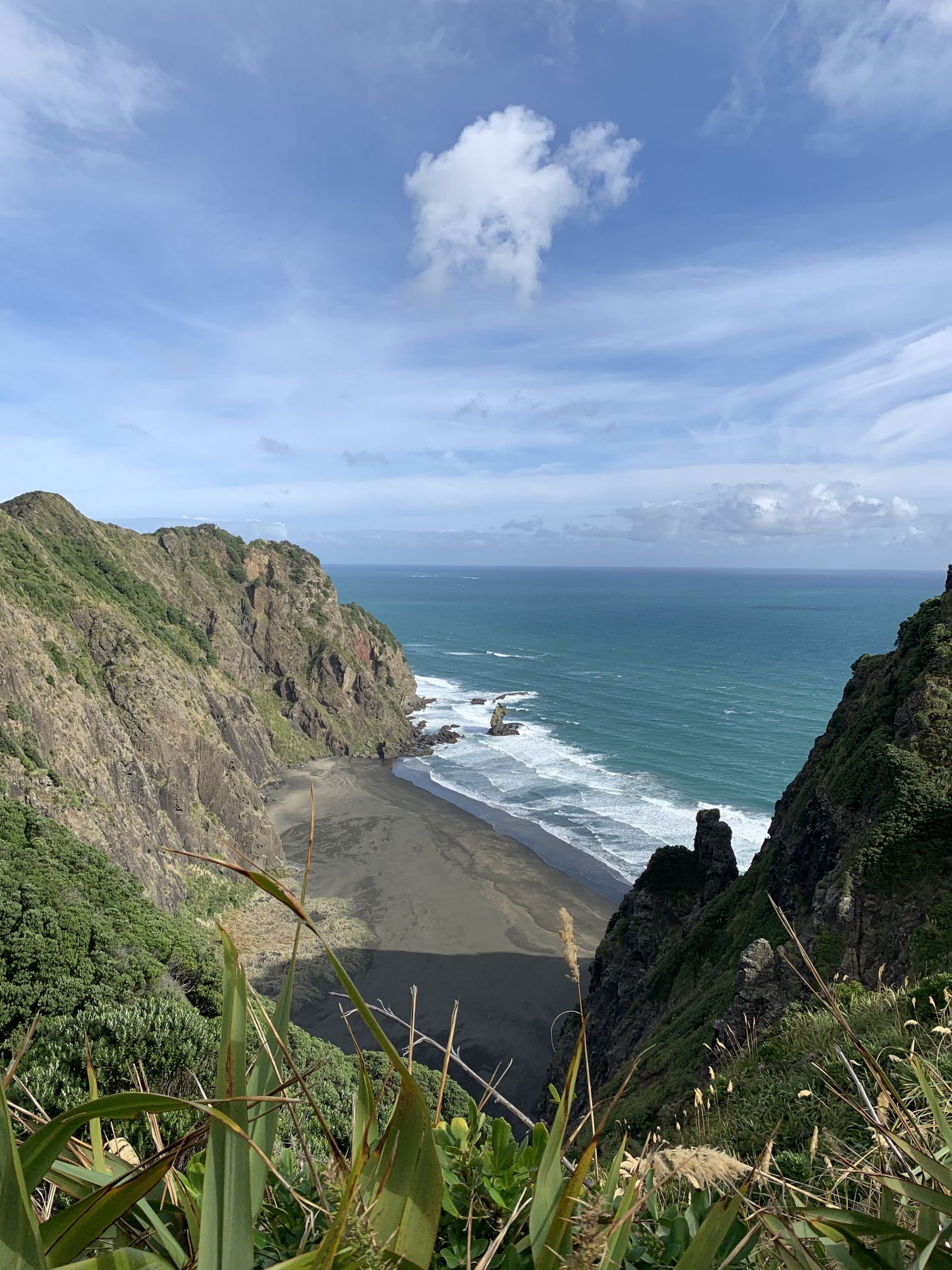 Mercer Bay Magic, Auckland - Trails Photo Gallery - Wild Things