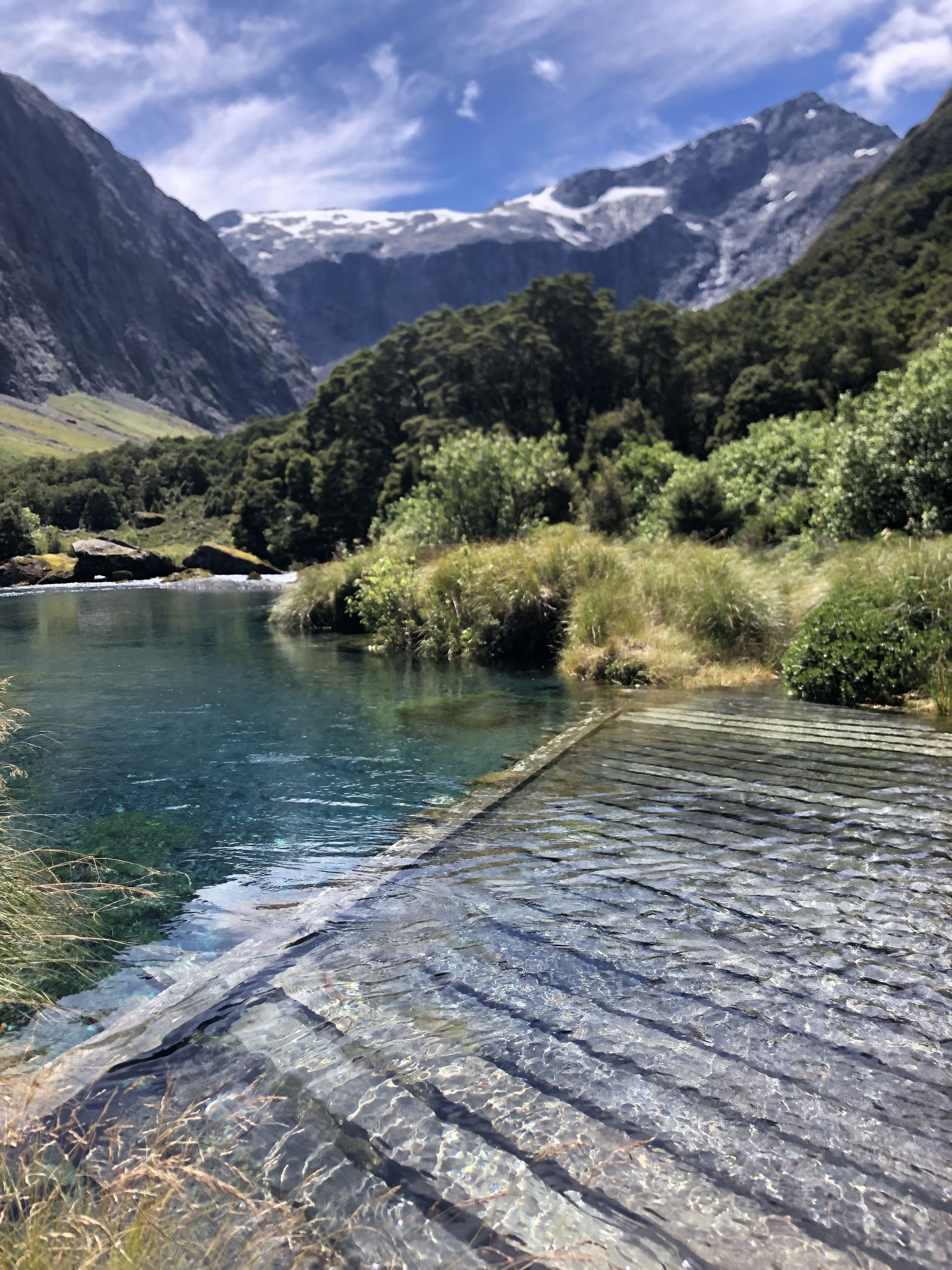 Gobsmacking Gertrude, Southland - Trails Photo Gallery - Wild Things