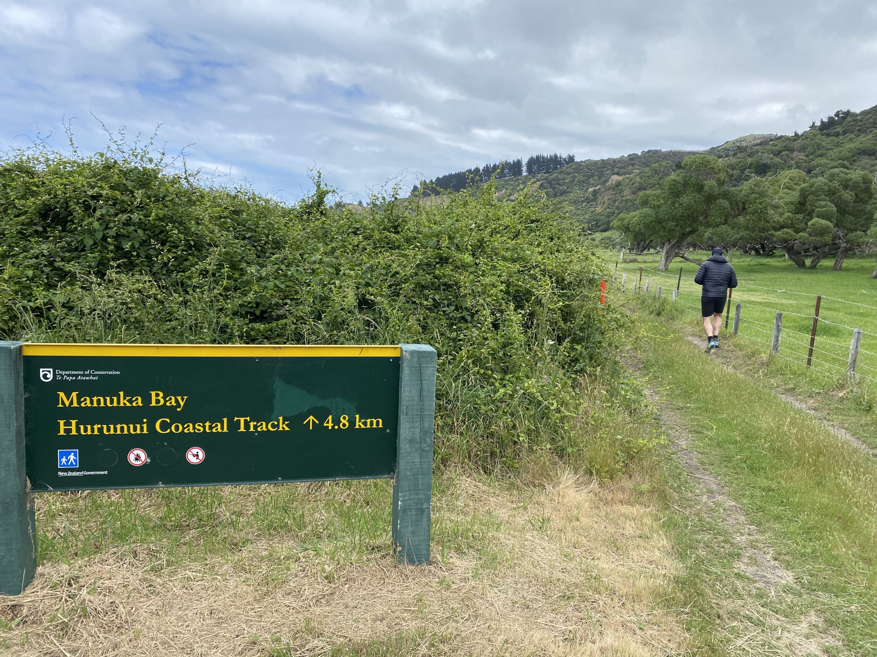 Manuka Bay Track, Canterbury - Trails Photo Gallery - Wild Things
