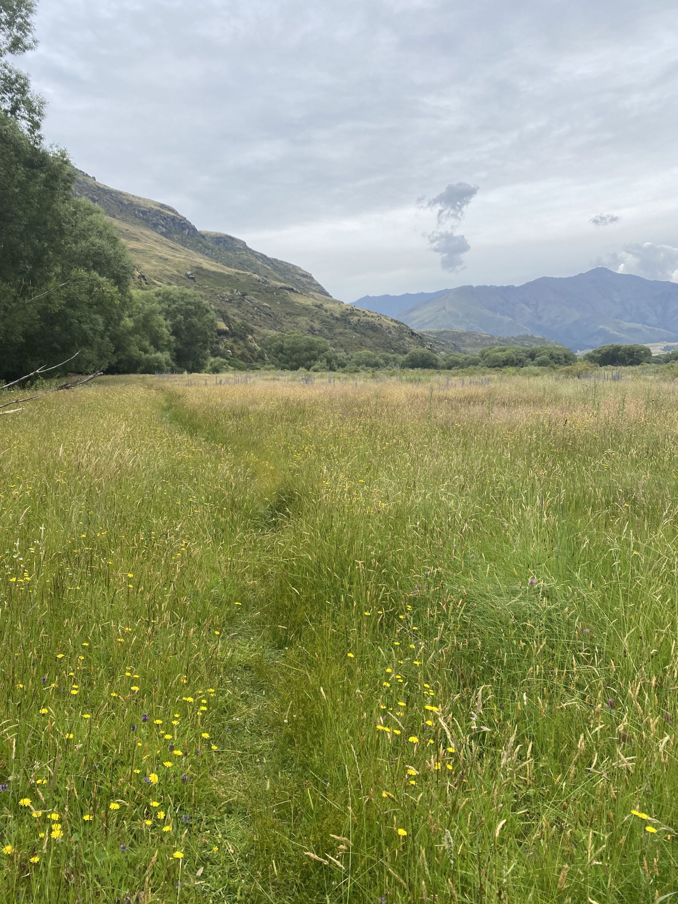 Motatapu River Track, Otago - Trails Photo Gallery - Wild Things
