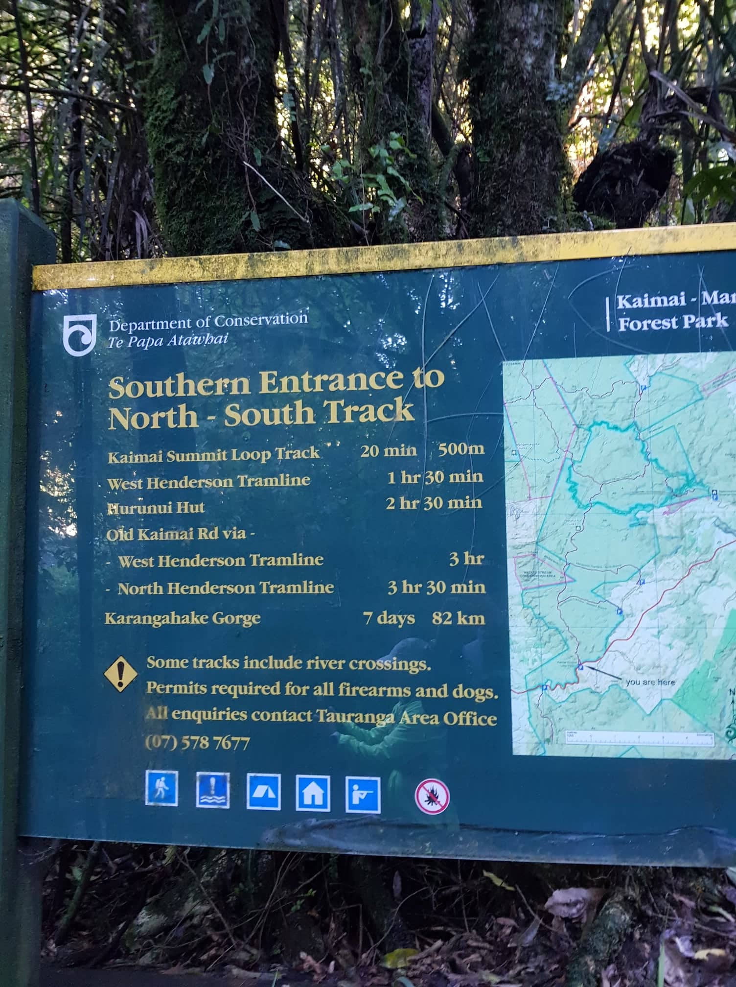 Kaimai South Side To Hurunui Hut, Waikato - Trails Photo Gallery - Wild ...