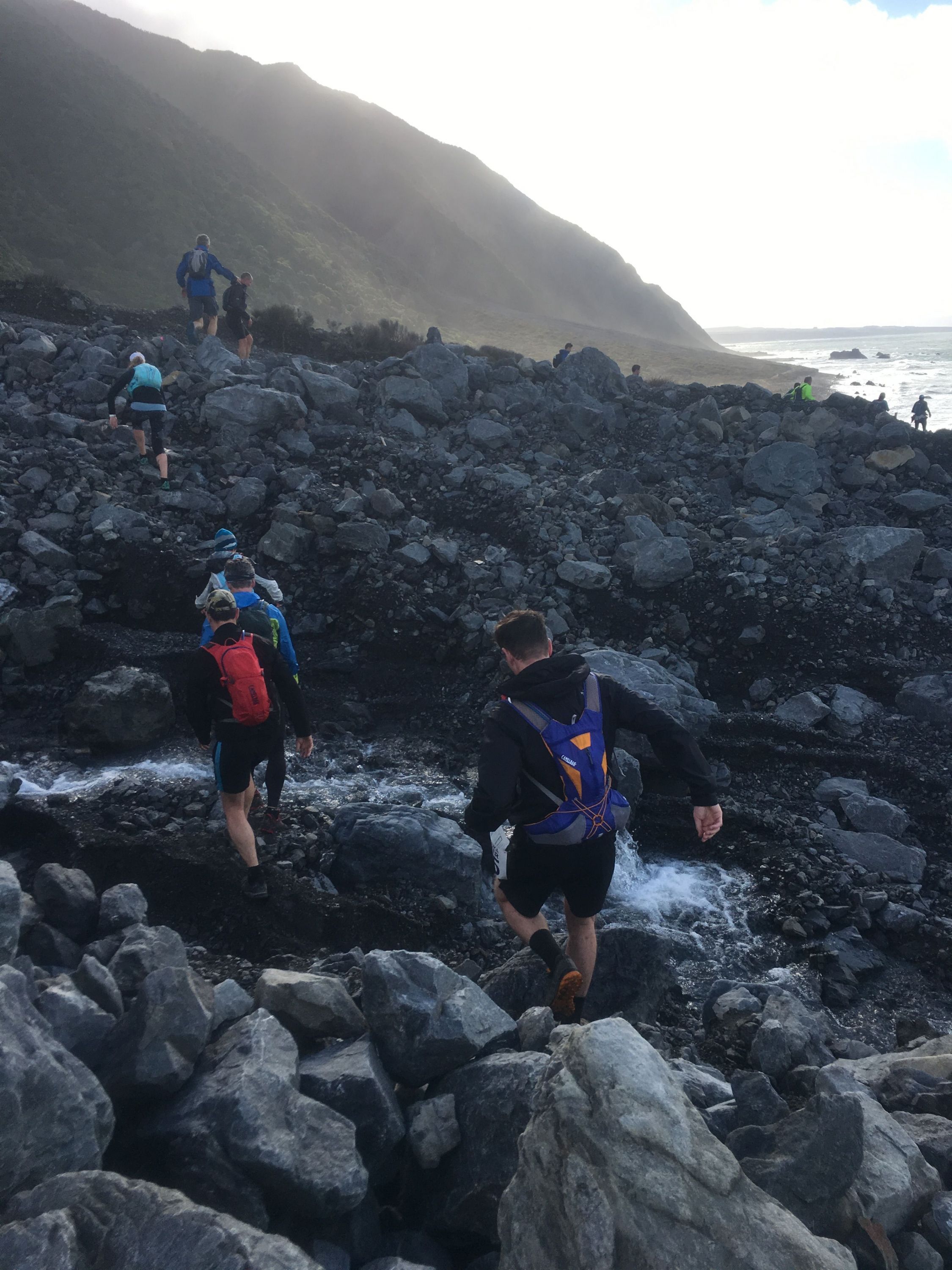 Mukamuka Munter, Wellington - Trails Photo Gallery - Wild Things