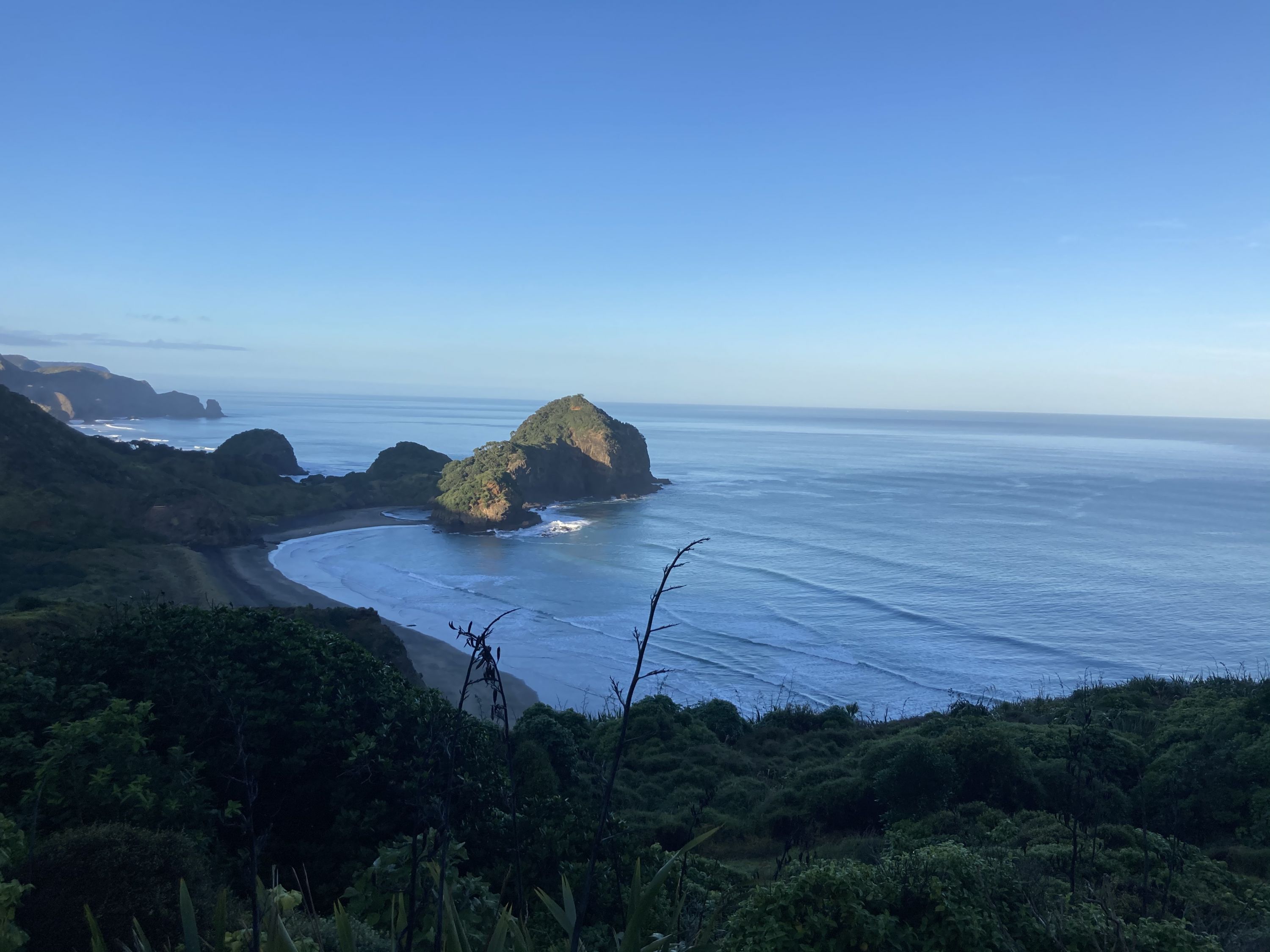 Te Henga Trail, Auckland - Trails Photo Gallery - Wild Things
