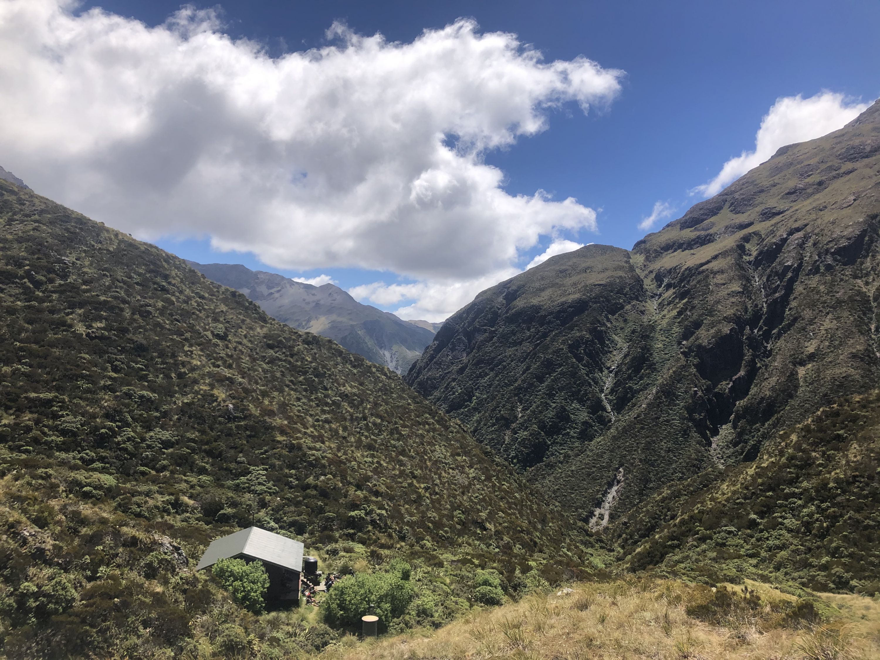 Goat Pass, Canterbury - Trails Photo Gallery - Wild Things