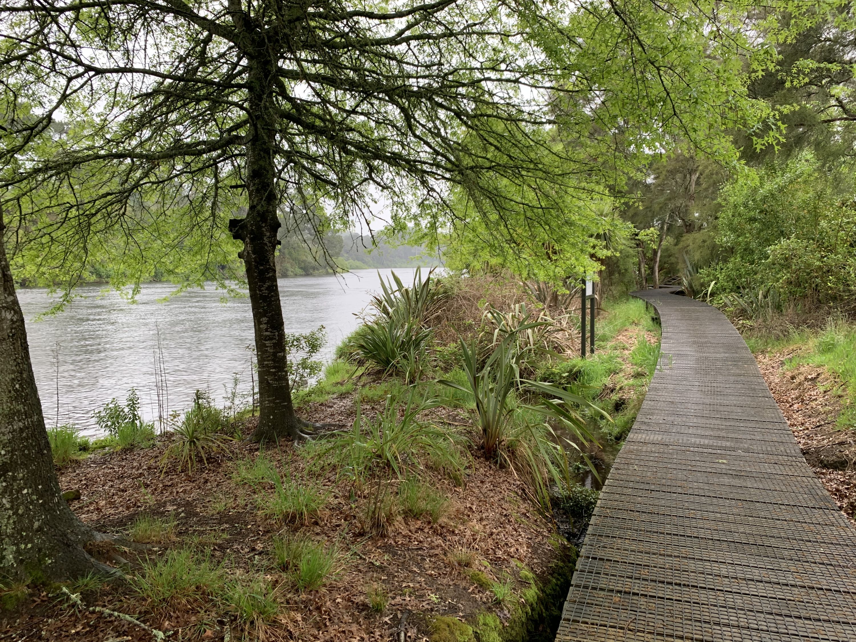 Little Waipa to Arapuni, Waikato - Trails Photo Gallery - Wild Things