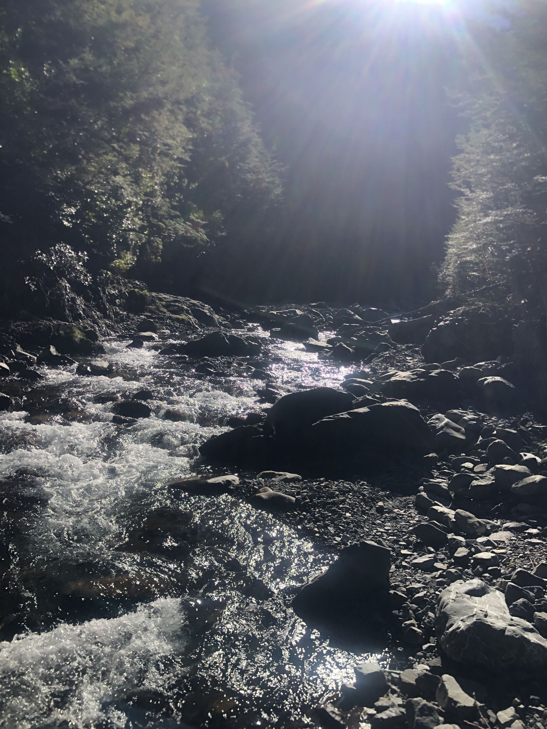 Scotts Pudding Loop, Canterbury - Trails Photo Gallery - Wild Things