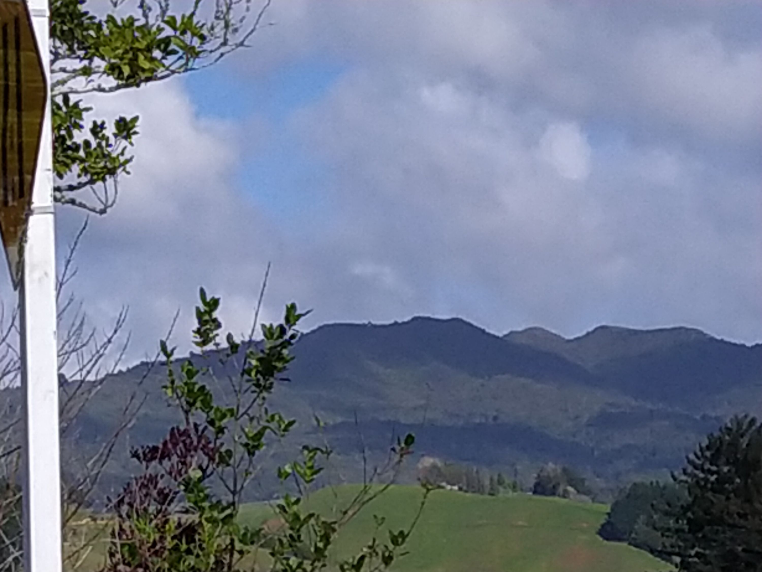 Pirongia Loop of Insanity., Waikato - Trails Photo Gallery - Wild Things