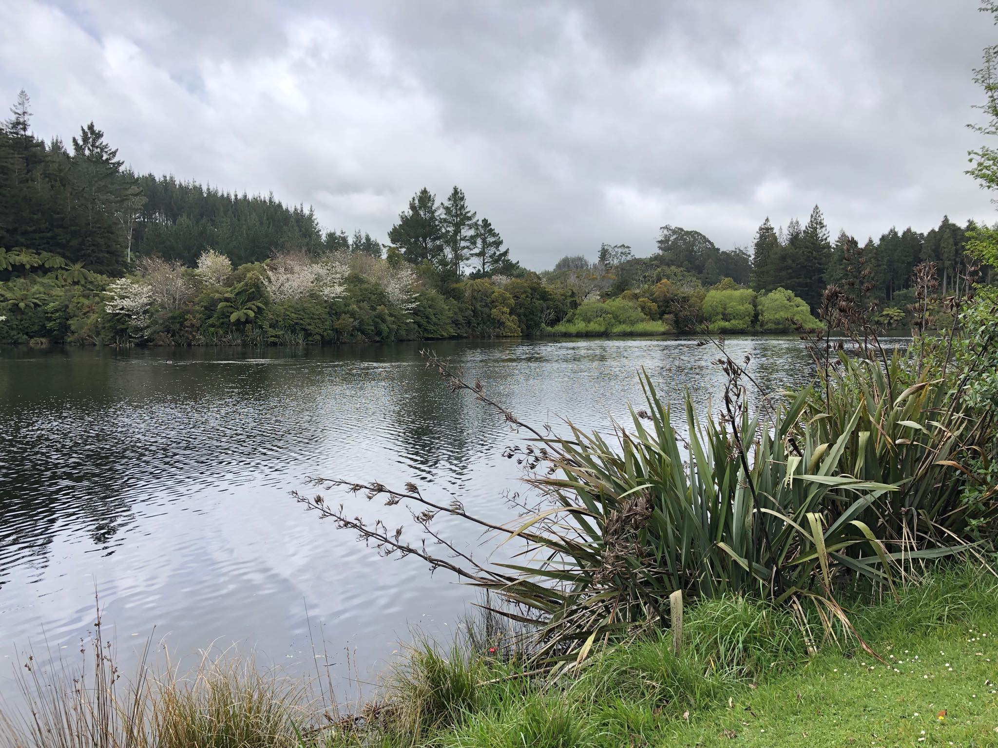 Lake Mangamahoe, Taranaki - Trails Photo Gallery - Wild Things