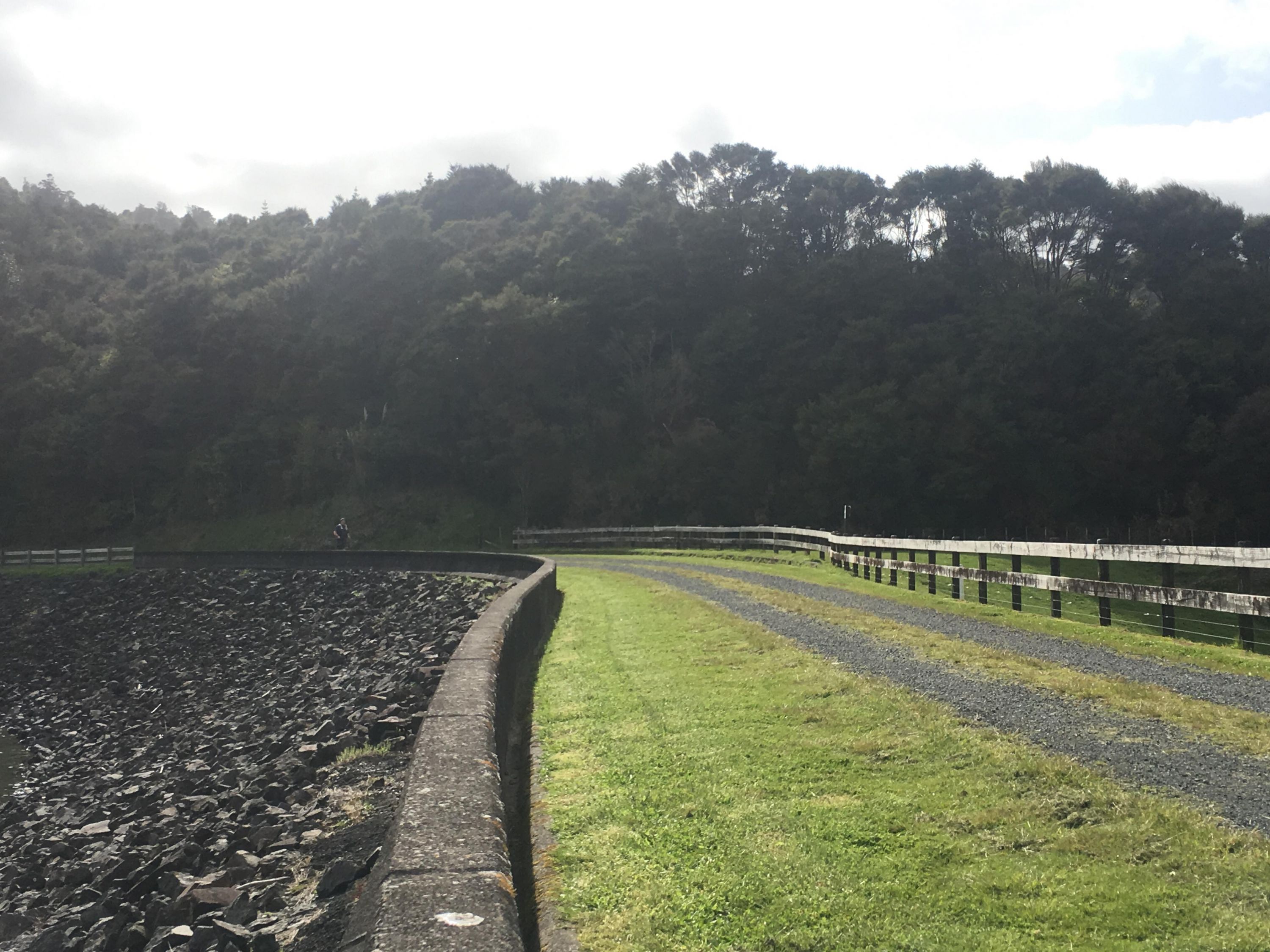 Wairoa Suspension Loop, Auckland - Trails Photo Gallery - Wild Things