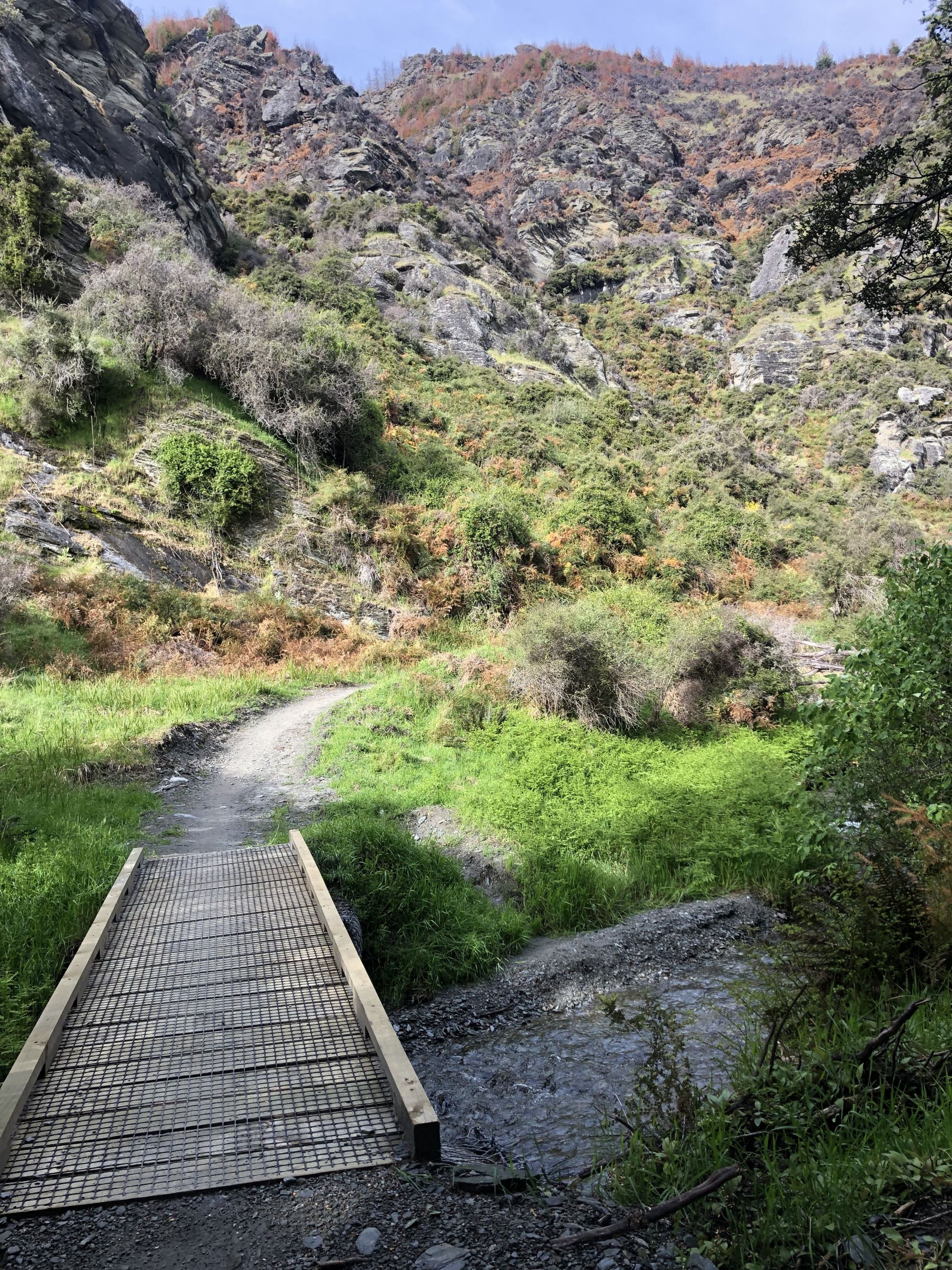 Bush Creek Banger and The Steiger!, Otago - Trails Photo Gallery - Wild ...
