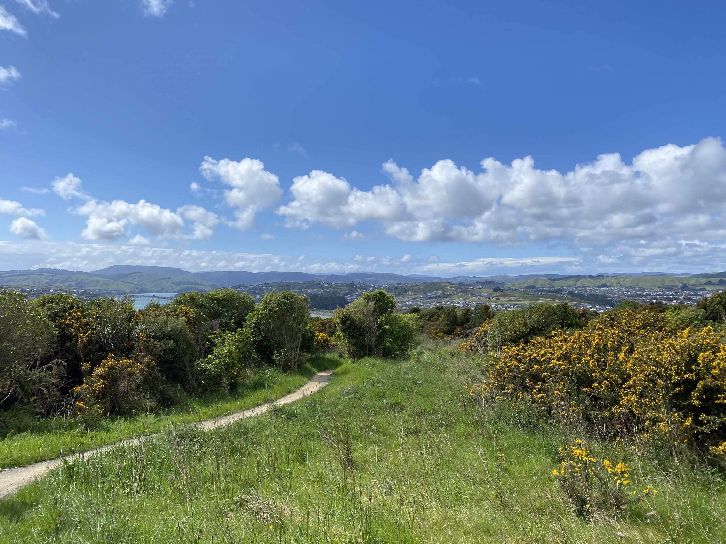 Colonial Knob Ultimate Stair Workout, Wellington - Trails Photo Gallery ...