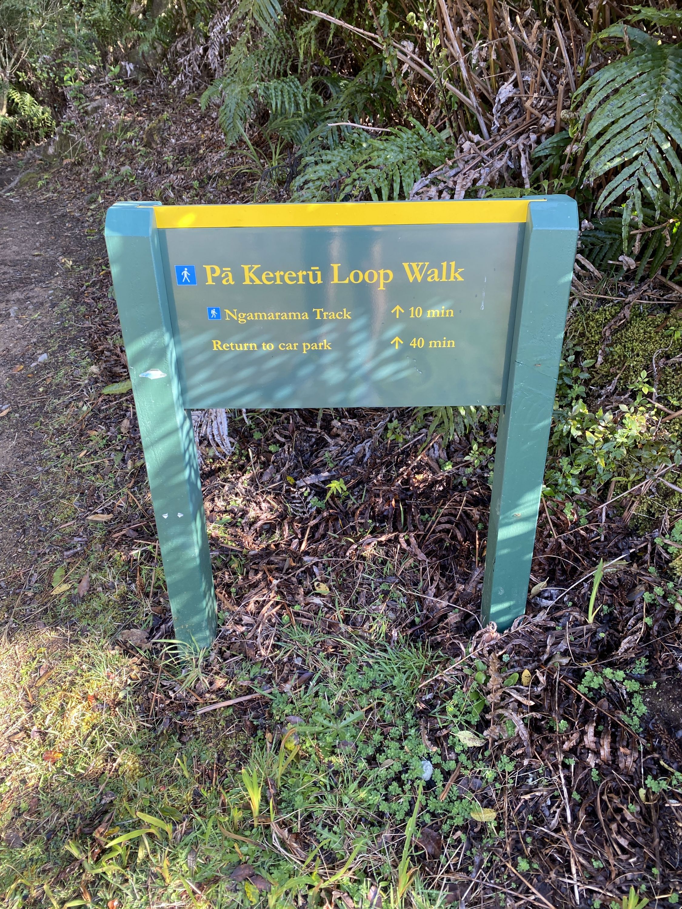 Twice Over The Kamais , Bay of Plenty - Trails Photo Gallery - Wild Things