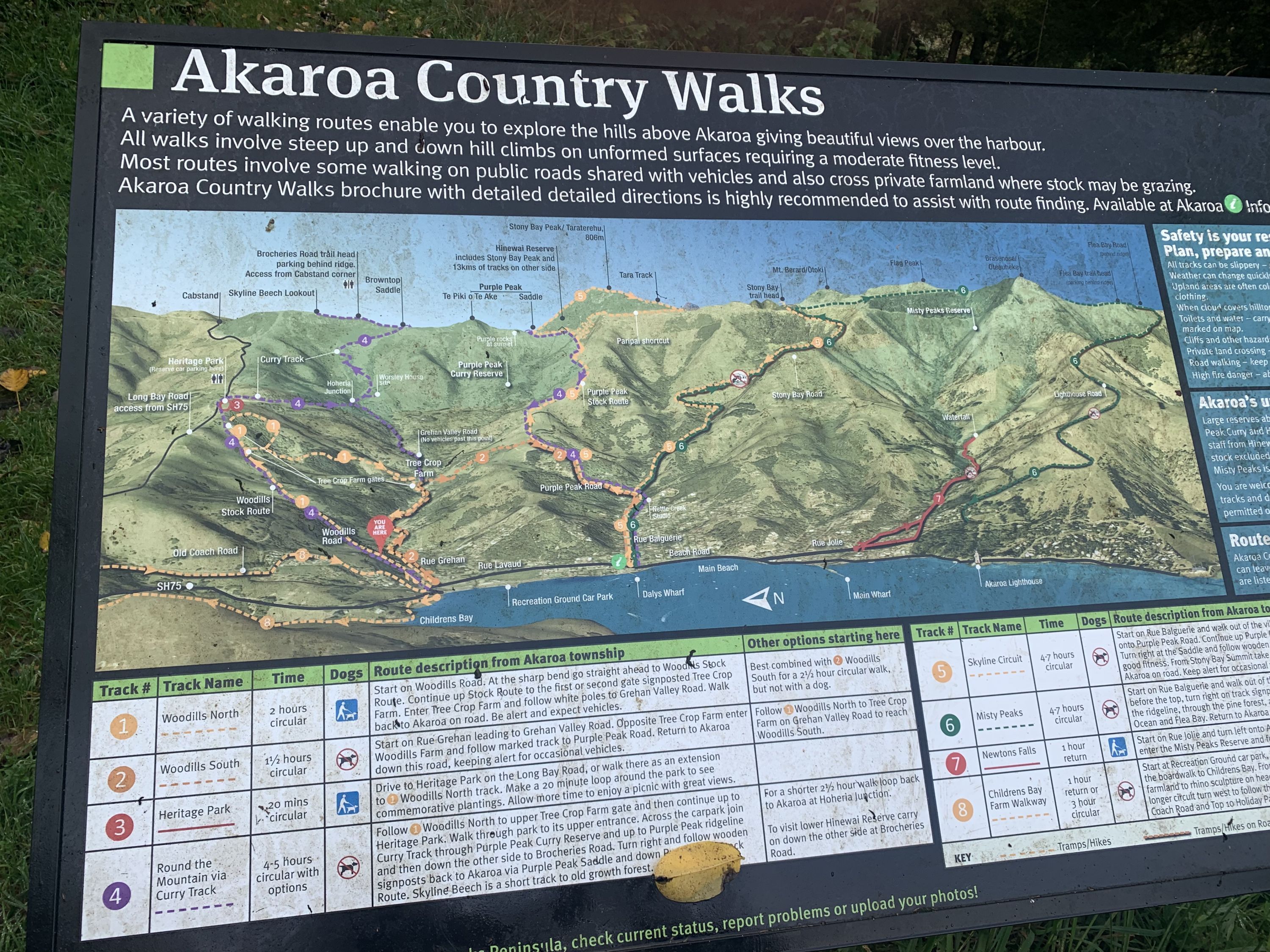 Woodills Womble, Canterbury - Trails Photo Gallery - Wild Things