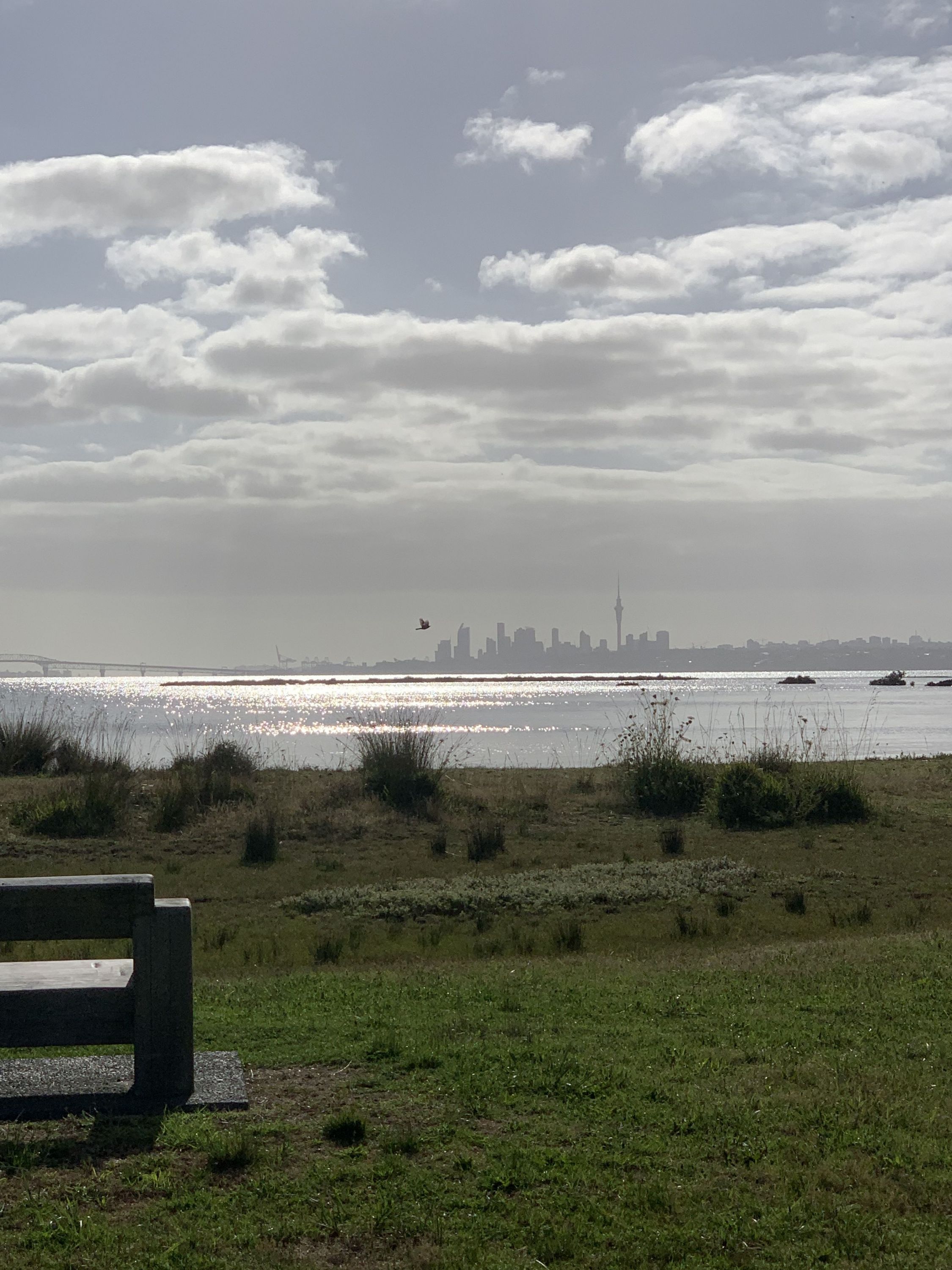 Around the Outside at Te Atatu, Auckland - Trails Photo Gallery - Wild ...