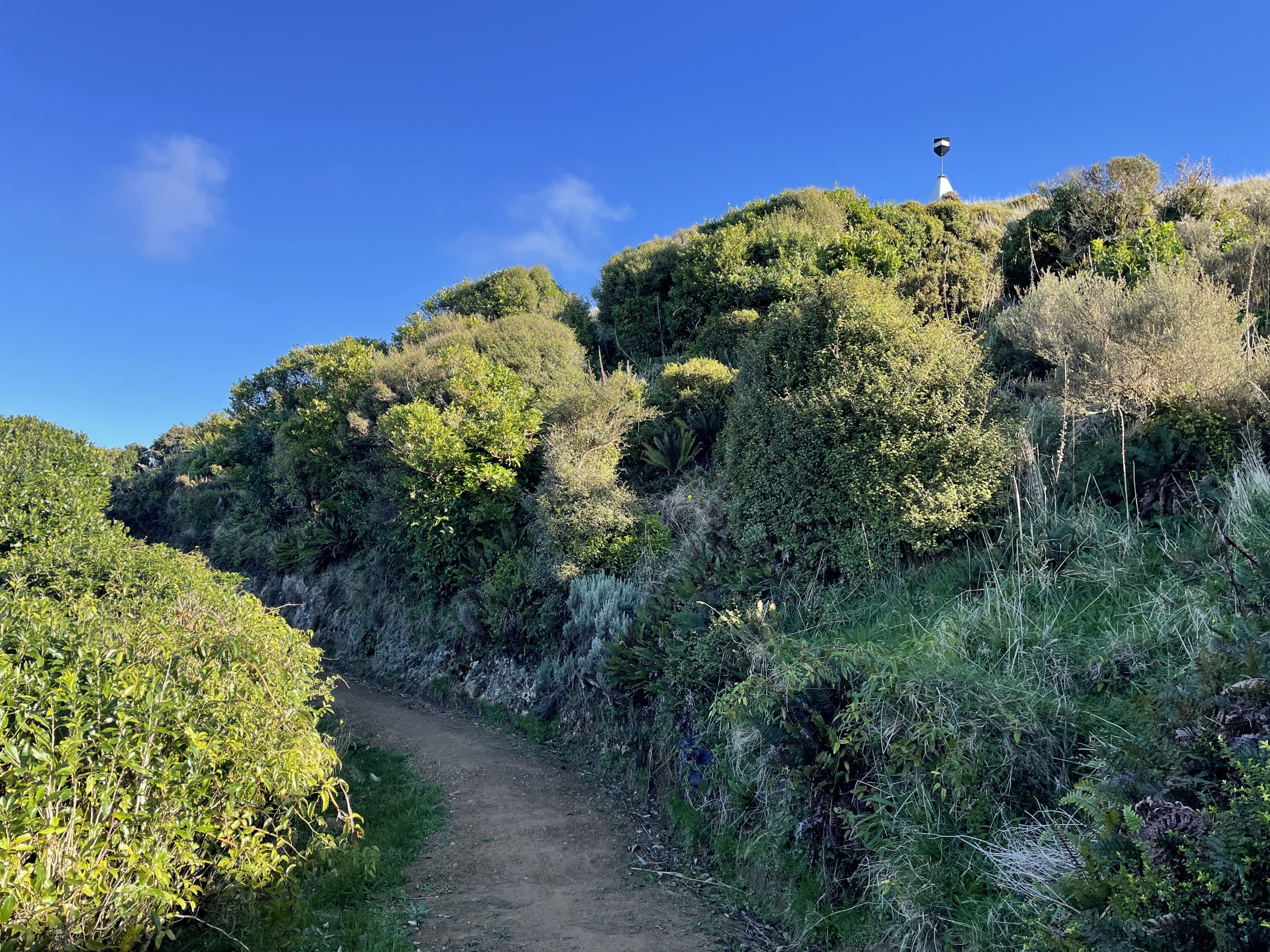 Colonial Knob - All the Hills, Wellington - Trails Photo Gallery - Wild ...