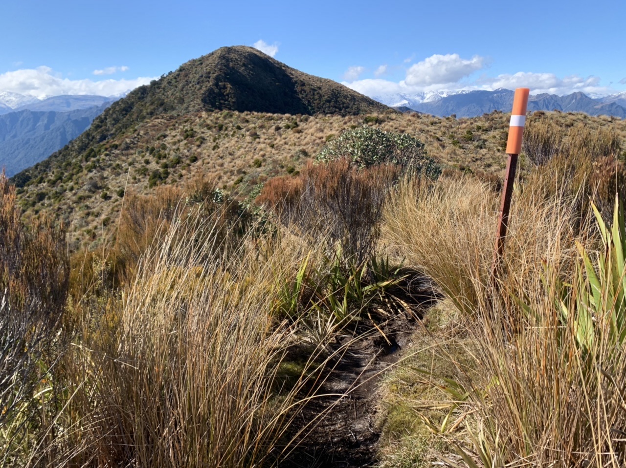 Mt Tuhua, West Coast - Trails Photo Gallery - Wild Things