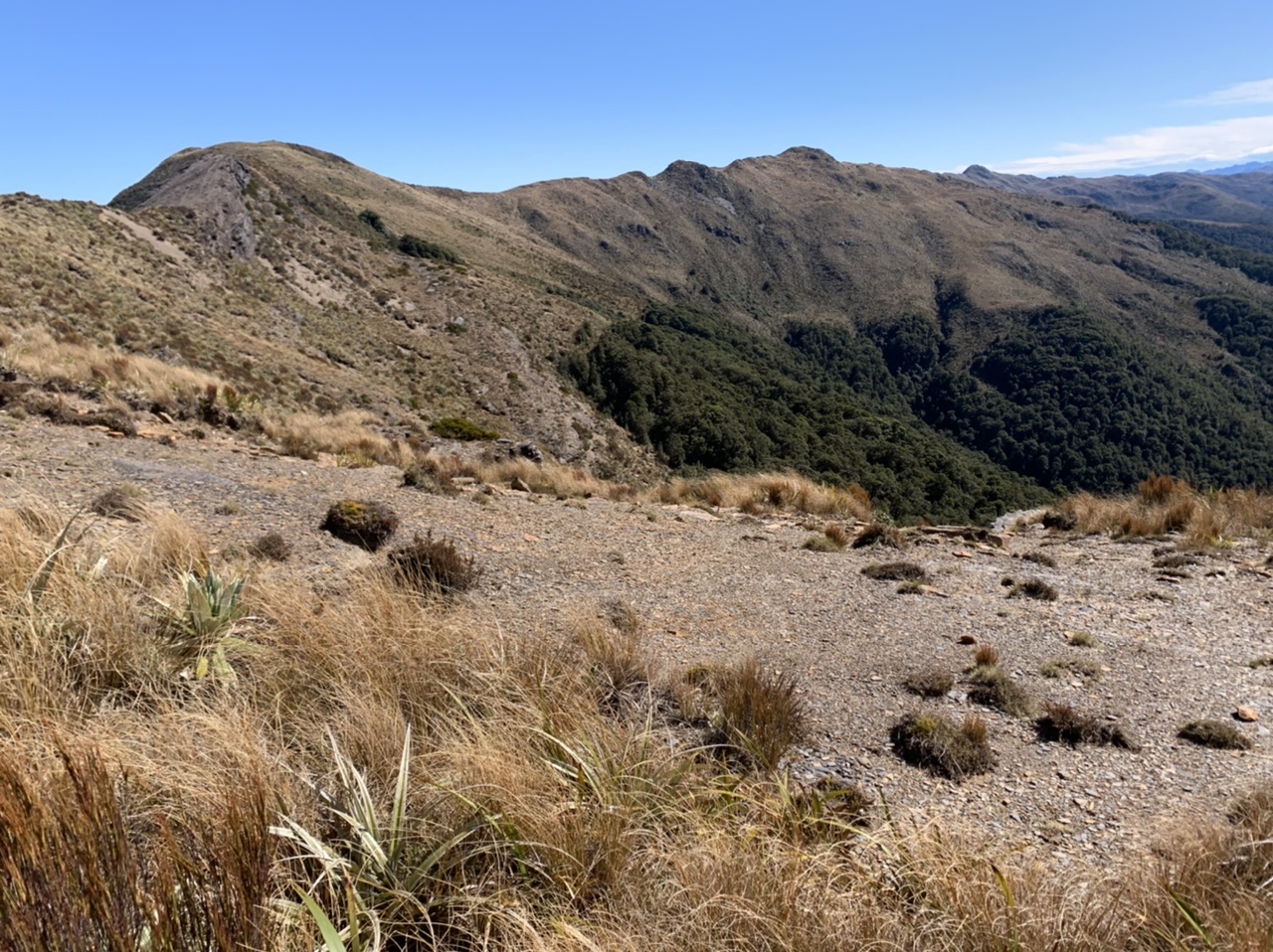 Mt Watson Croesus Loop, West Coast - Trails Photo Gallery - Wild Things