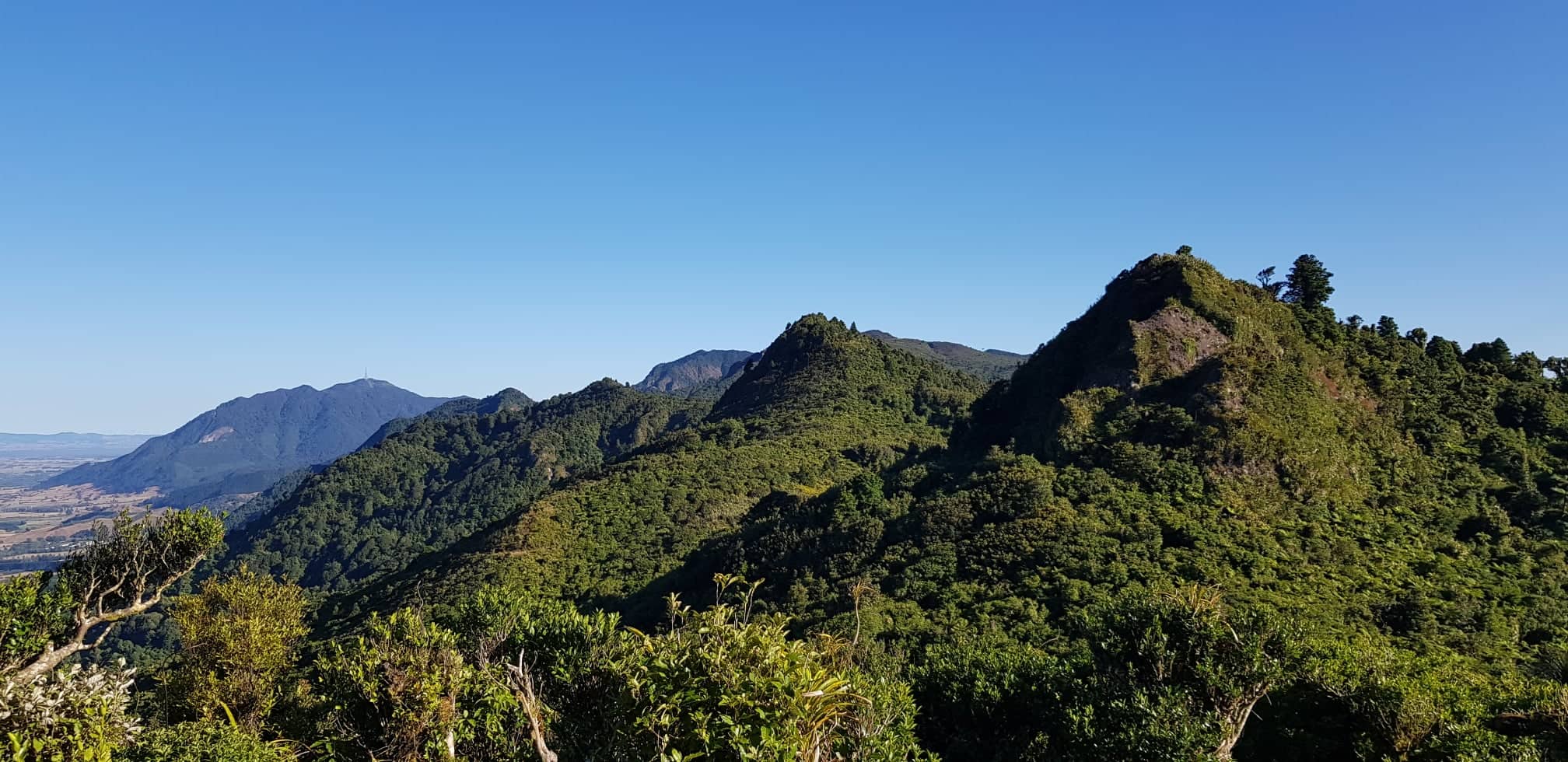 Tuahu To Wairere , Waikato - Trails Photo Gallery - Wild Things