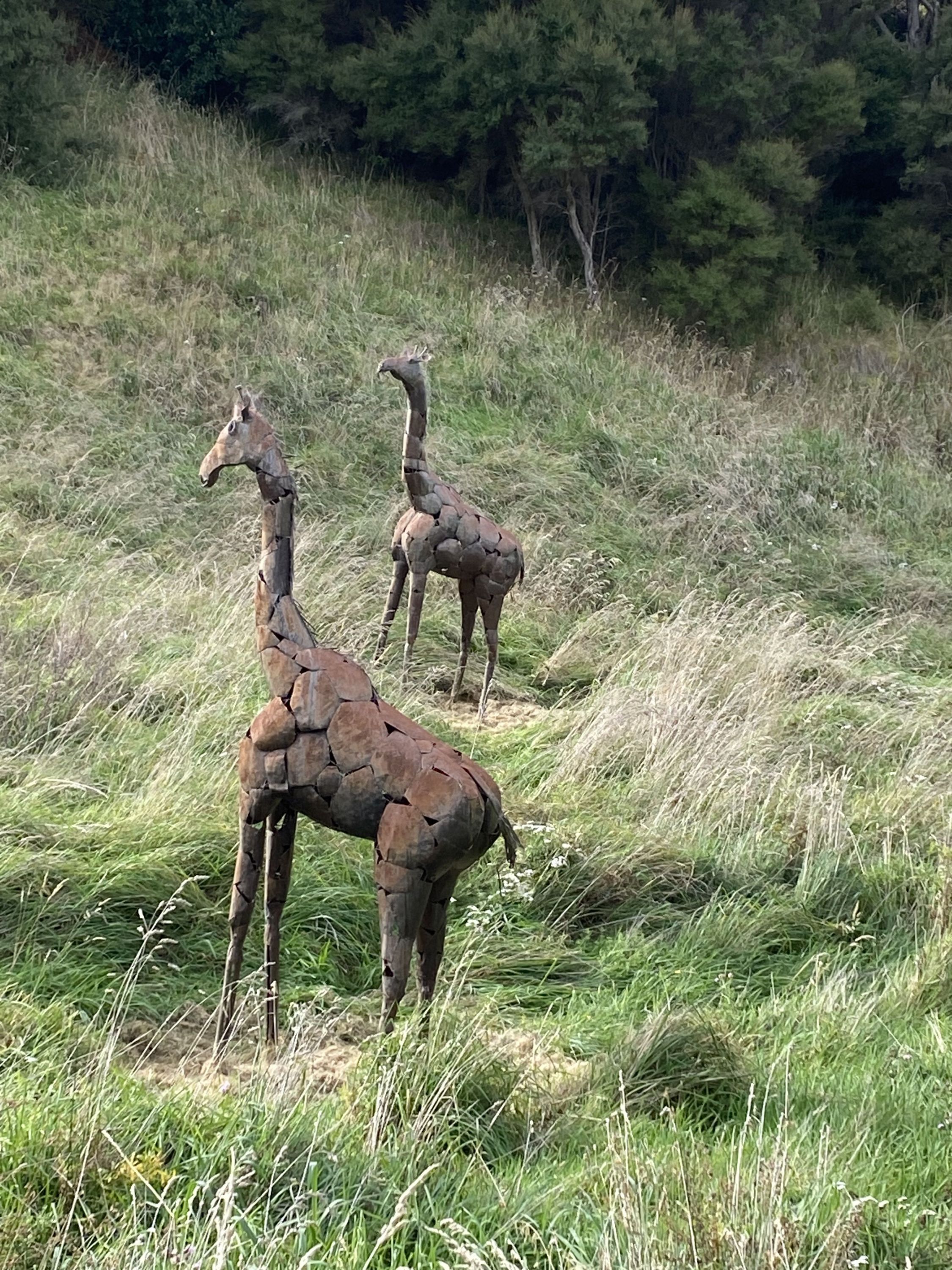 Moa Point Loop, Canterbury - Trails Photo Gallery - Wild Things