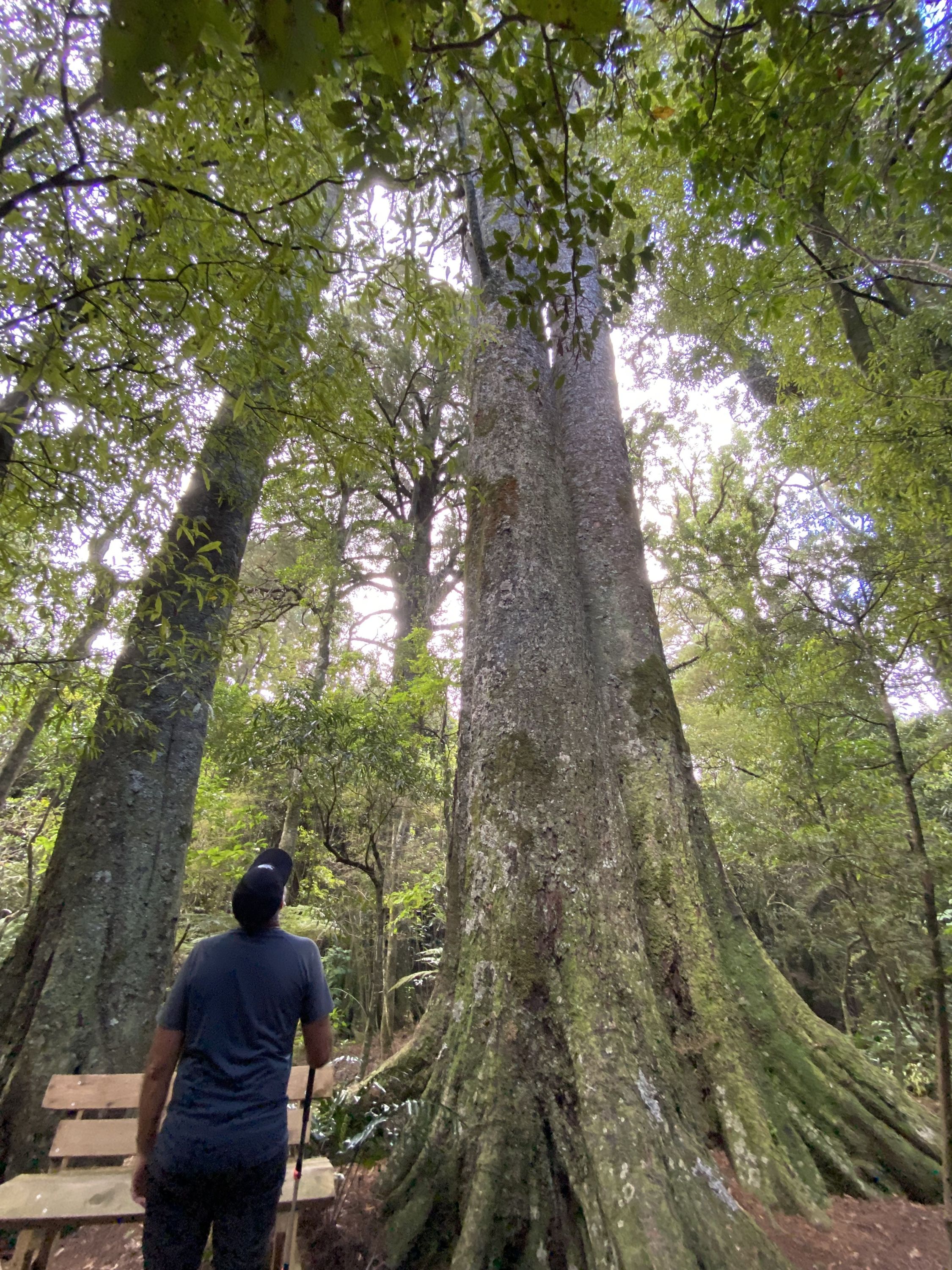 Fensham Reserve Loop, Wellington - Trails Photo Gallery - Wild Things