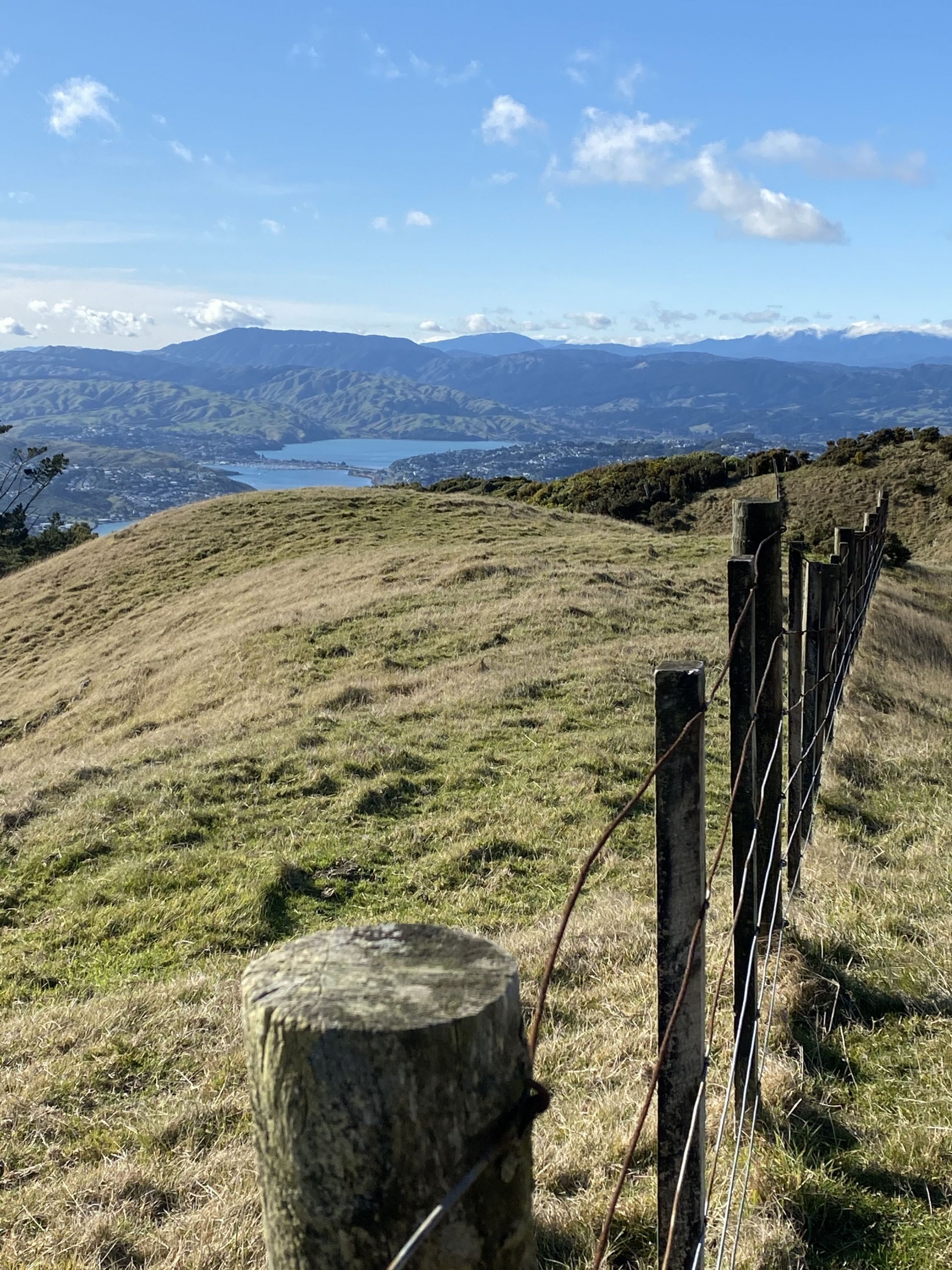 Colonial Knob - All the Hills, Wellington - Trails Photo Gallery - Wild ...
